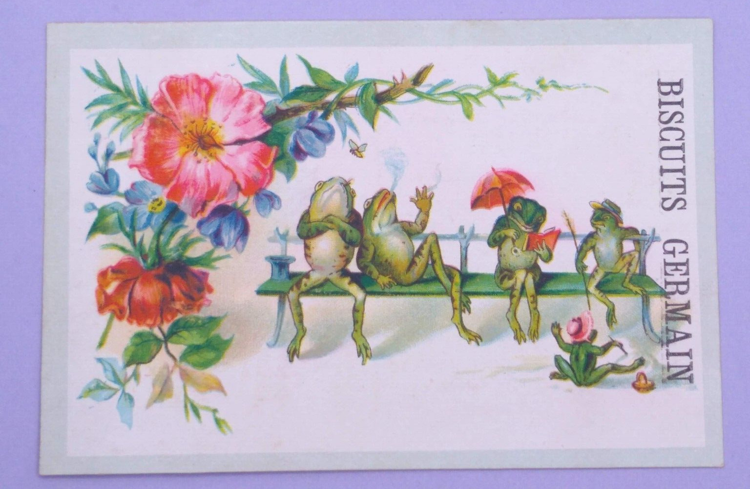 1880s - 1890s Victorian Anthropomorphic Frogs Smoking FLower Biscuits ...