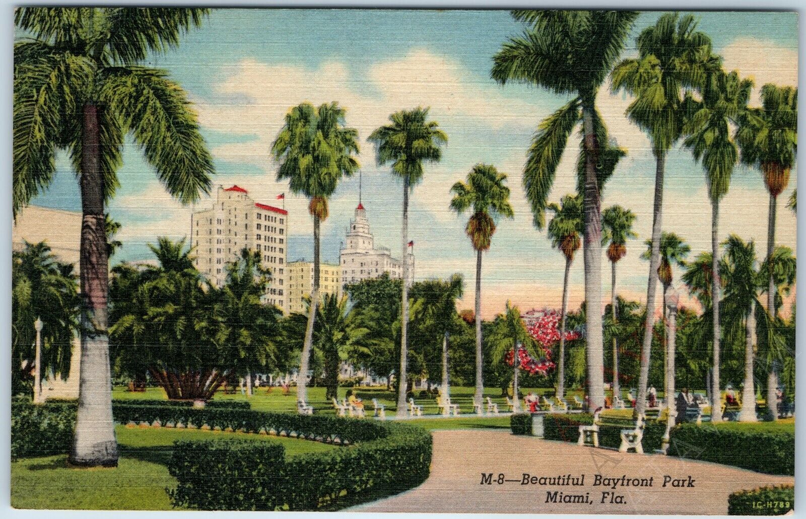 1951 Miami, FL Lovely Bayfront Park Palm Tree Landscaping Teich Gulf ...