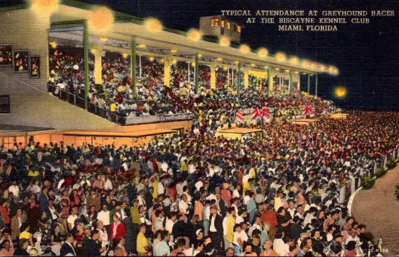 Florida MIami Typical Crowd At Greyhound Races At The Biscayne Kennel ...