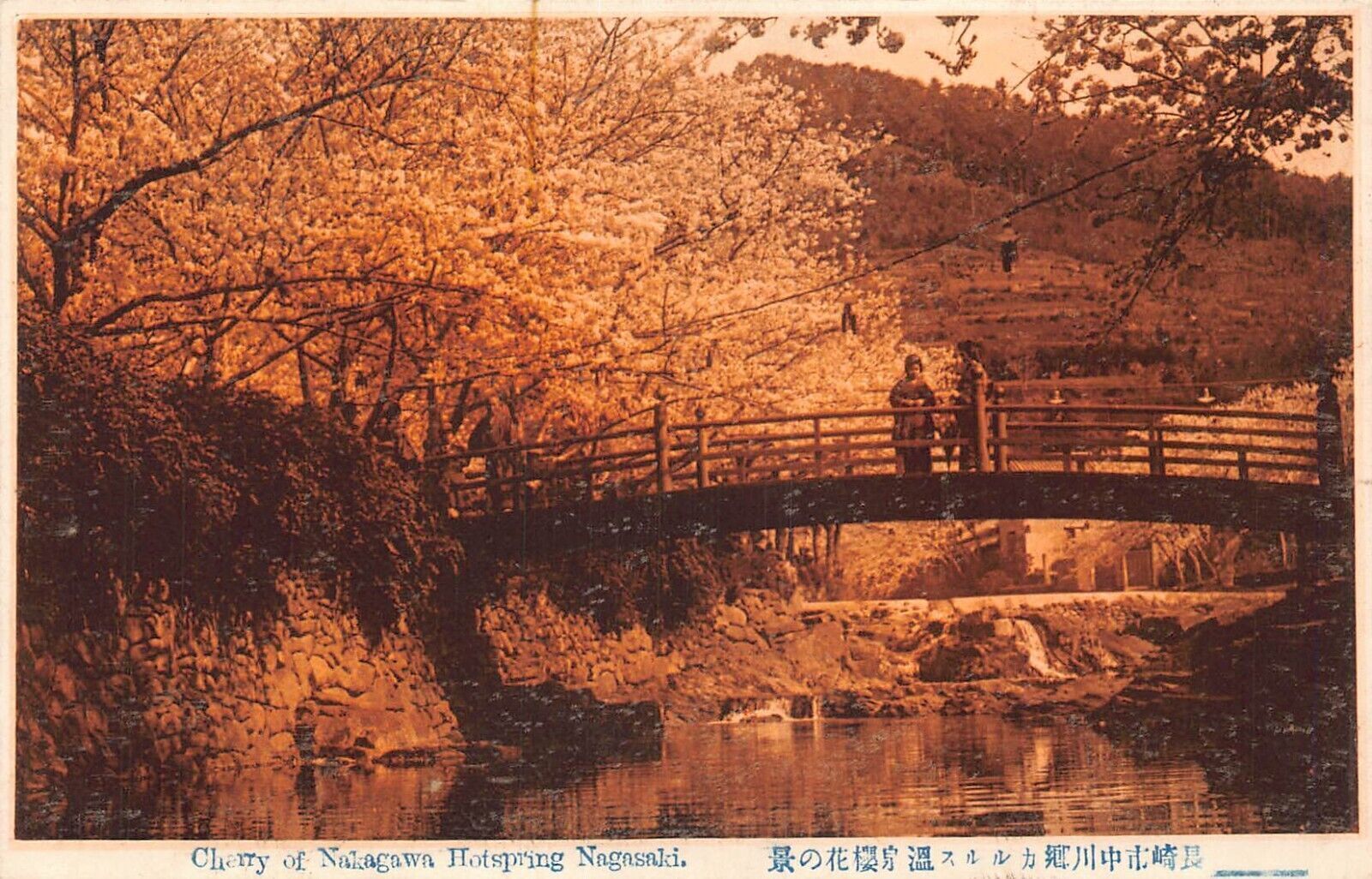 L269 Japan Cherry Blossom Tree Sakura Hot Spring Nagasaki Geishas ...