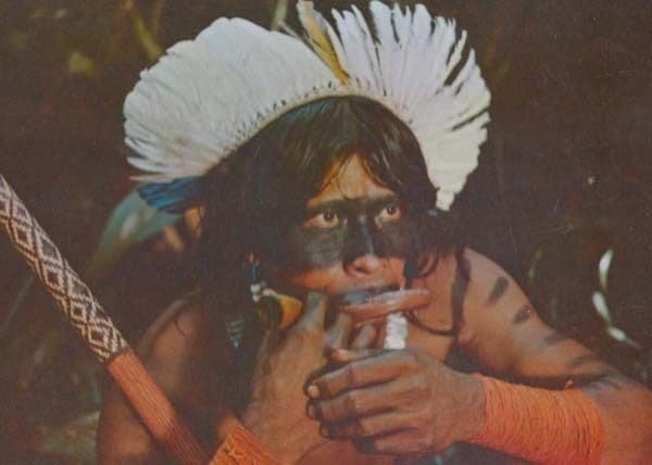 Brazil Brazillian Txucahamei Indian With Hunting Club Xingu Park ...