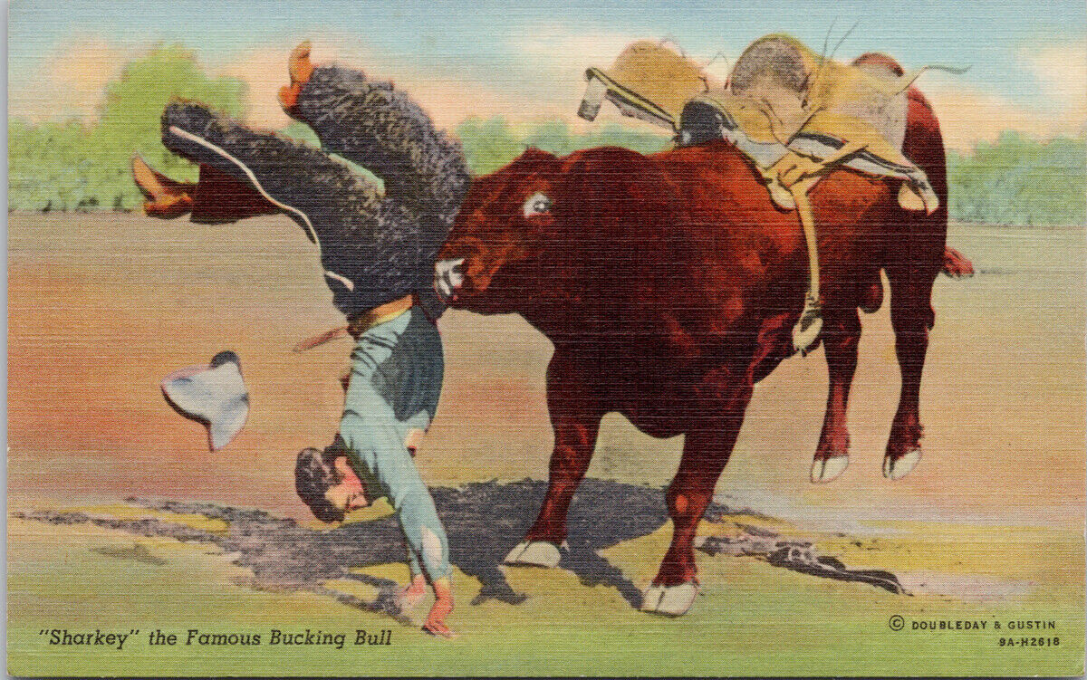 Sharkey the Famous Bucking Bull Rodeo Cowboy Doubleday & Gustin ...