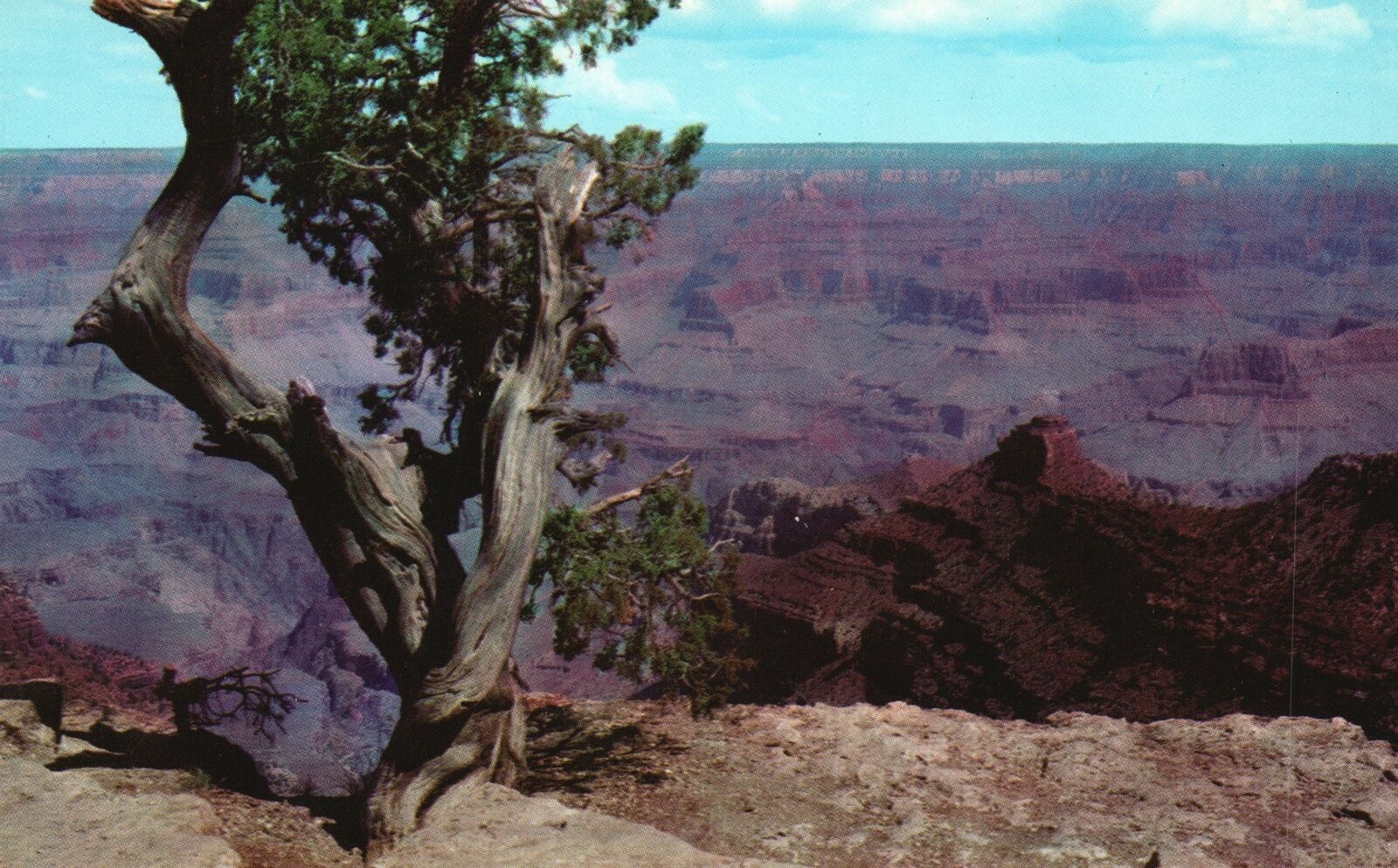 Vintage Postcard View From East Rim Drive Grand Canyon National Park ...