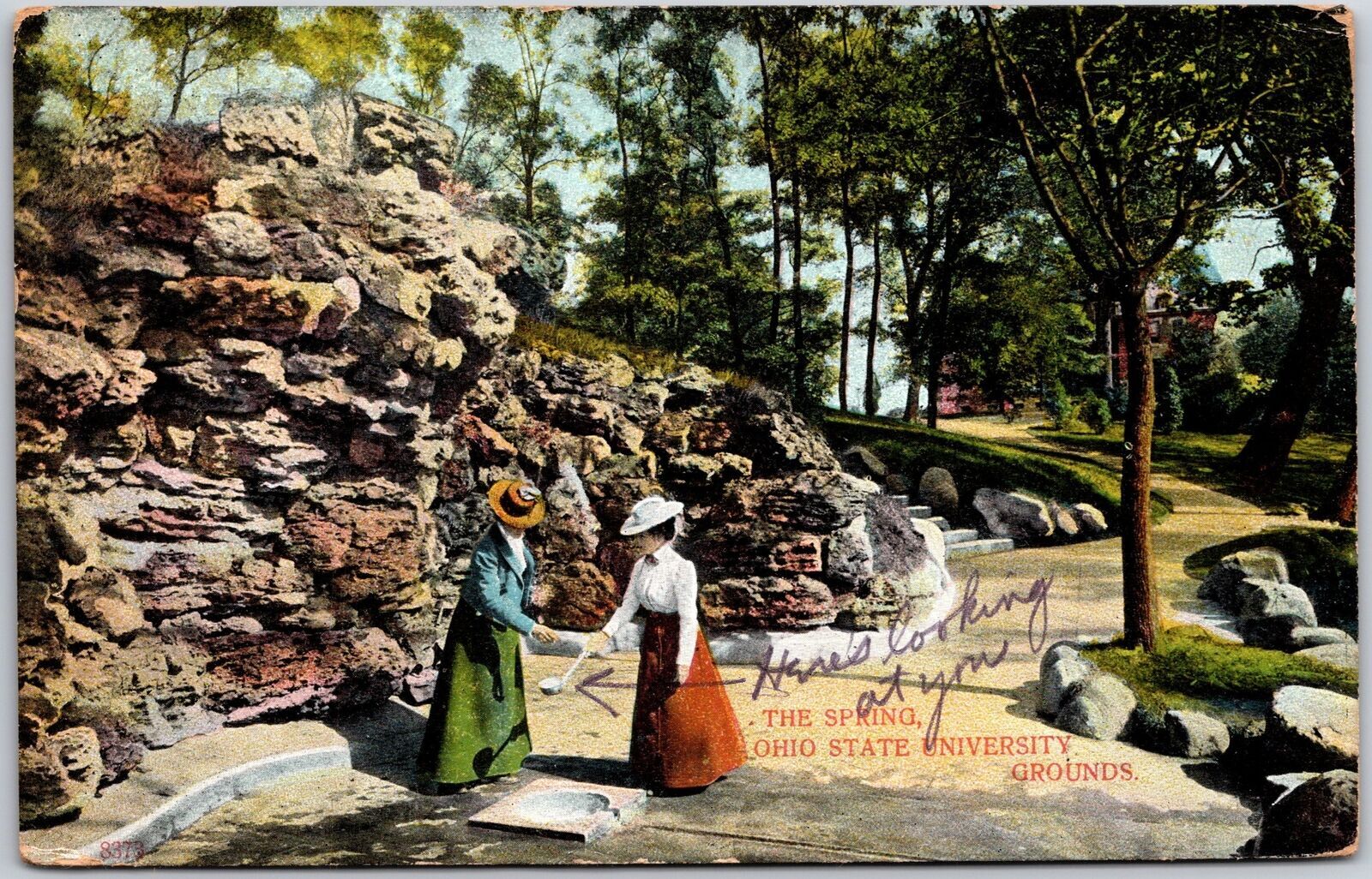 1908 The Spring Ohio State University Grounds Rocks Pathways Posted ...