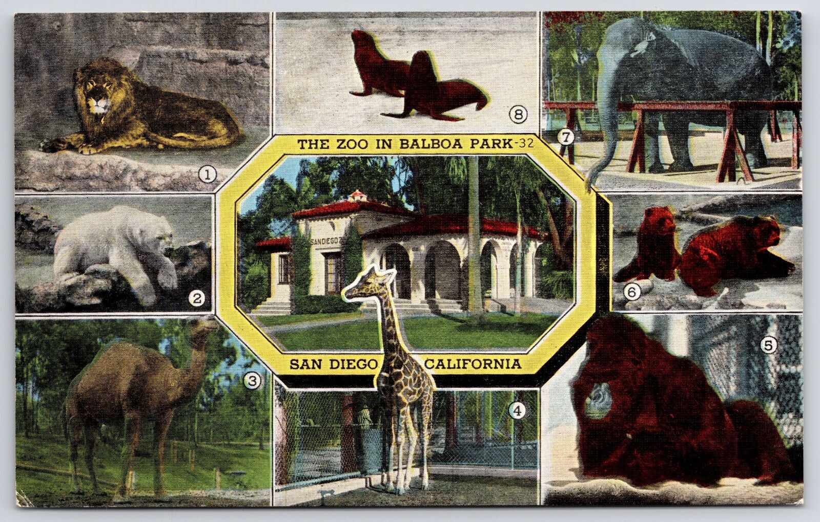 Vintage Postcard Zoological Gardens Animal Zoo Giraffe San Diego ...