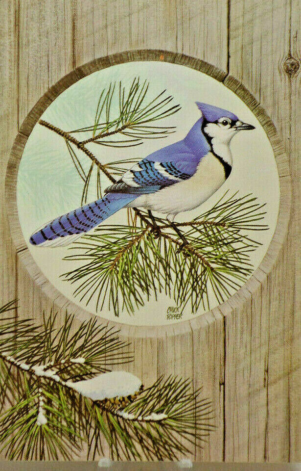 Season Greetings Blue Jay Bird Art By Chuck Ripper Vintage Postcard A8 ...