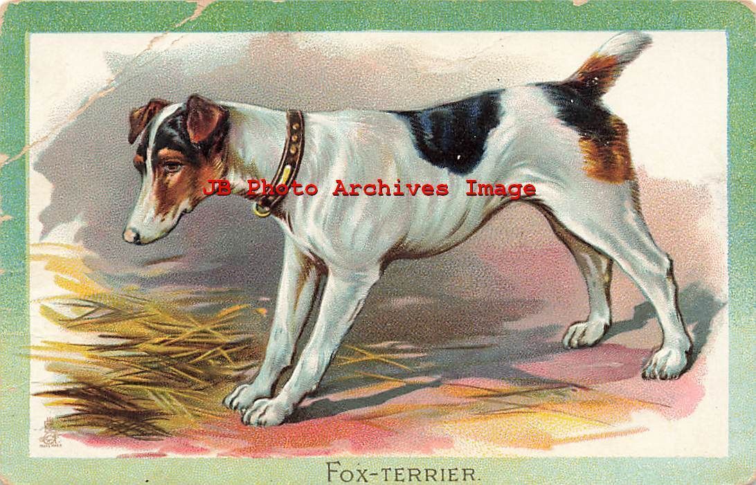 8 Postcards Set, Tuck No 4, Domestic Animals, Cow-Sheep-Dog-Horse-Cat ...