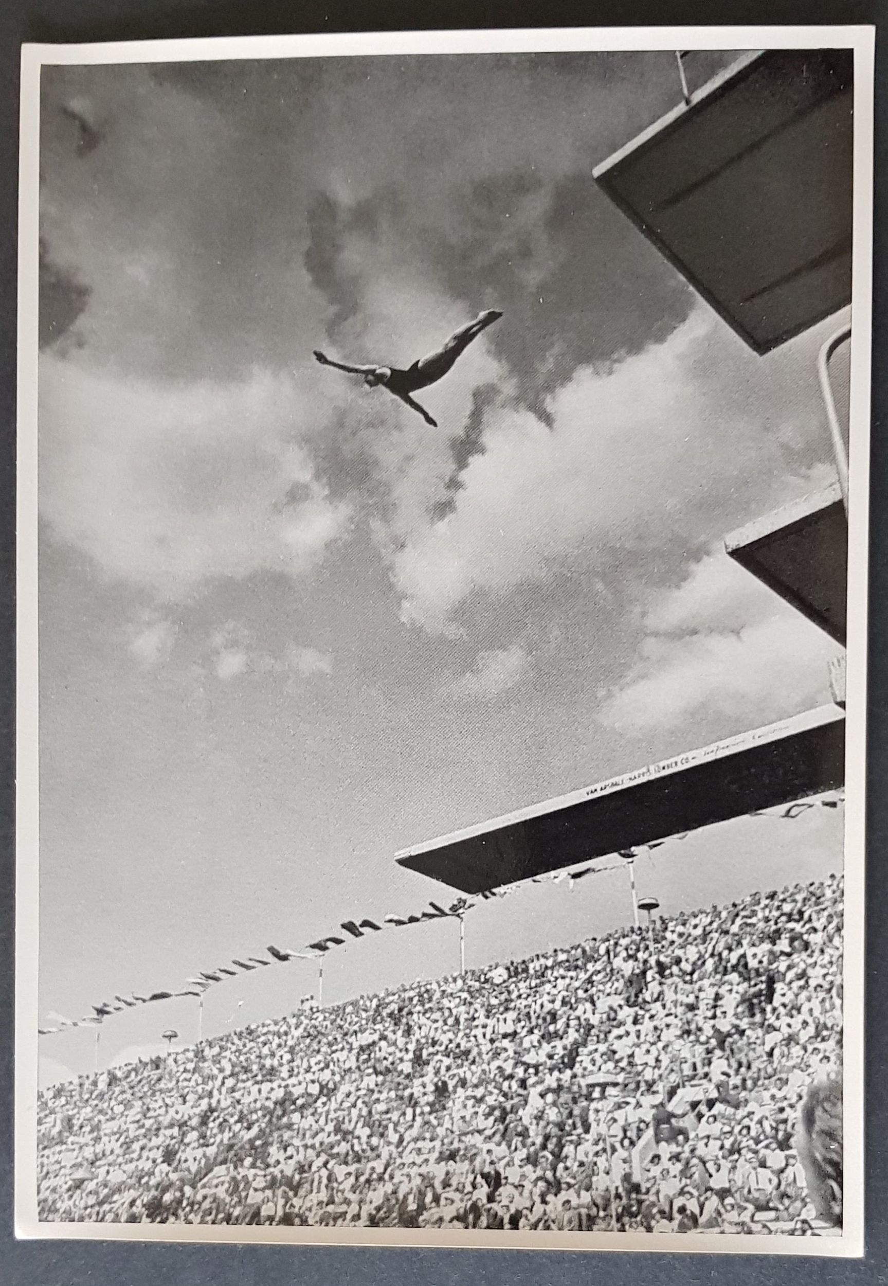 Rare Large Format Collector Photo Card 1936 Berlin Olympics - High ...