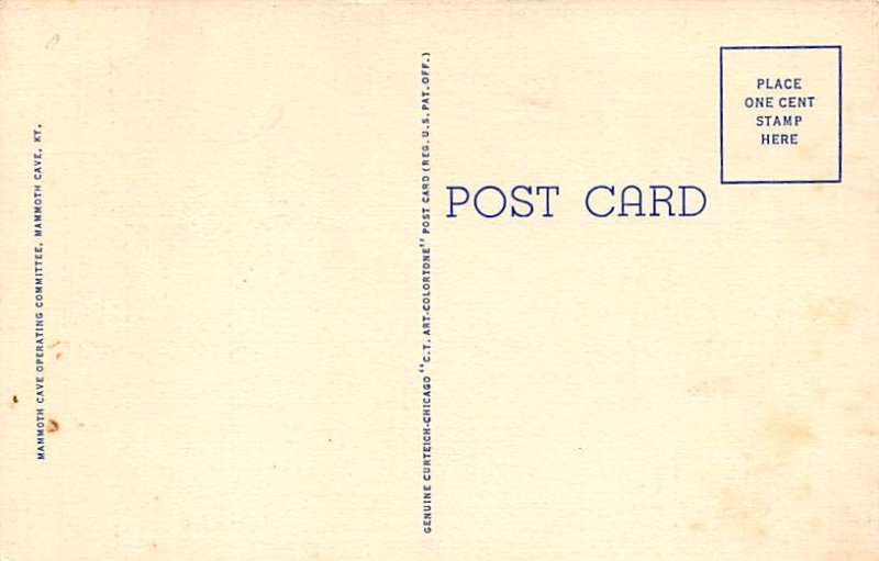 Blind fish found in Echo River 360 feet underground Mammoth Cave ...