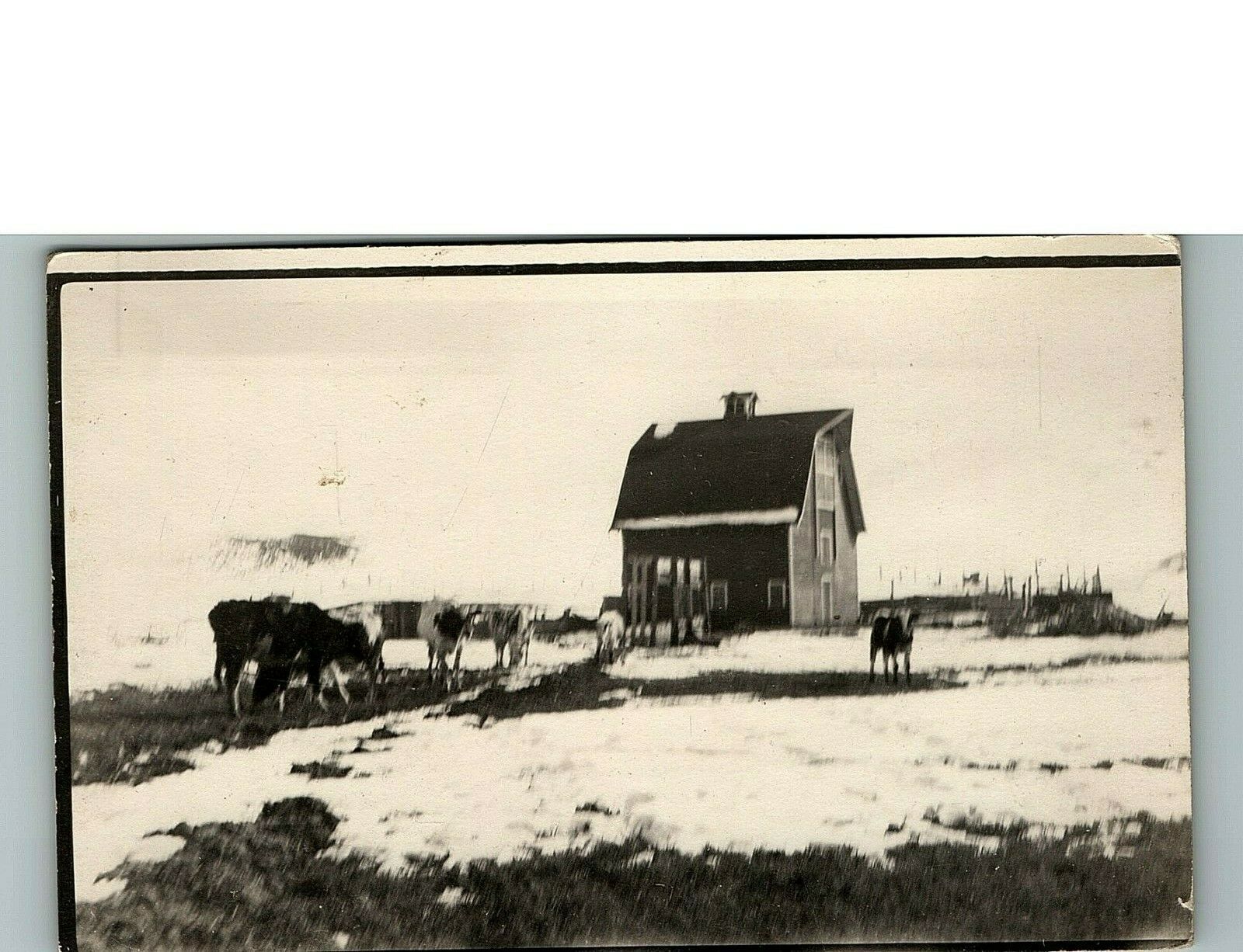 1930s Cattle Grazing in Snowy Field with Barn Real Photo Postcard 6-30 ...