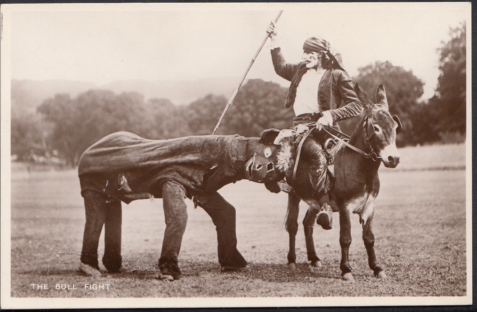 Animals Postcard - The Bull Fight - Donkey and Pantomine Bull DC84 ...
