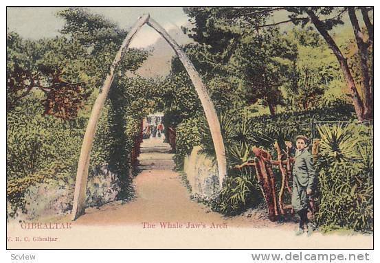 Boy stands next to the Whale Jaw´s Arch, Gibraltar, 00-10s | Europe ...
