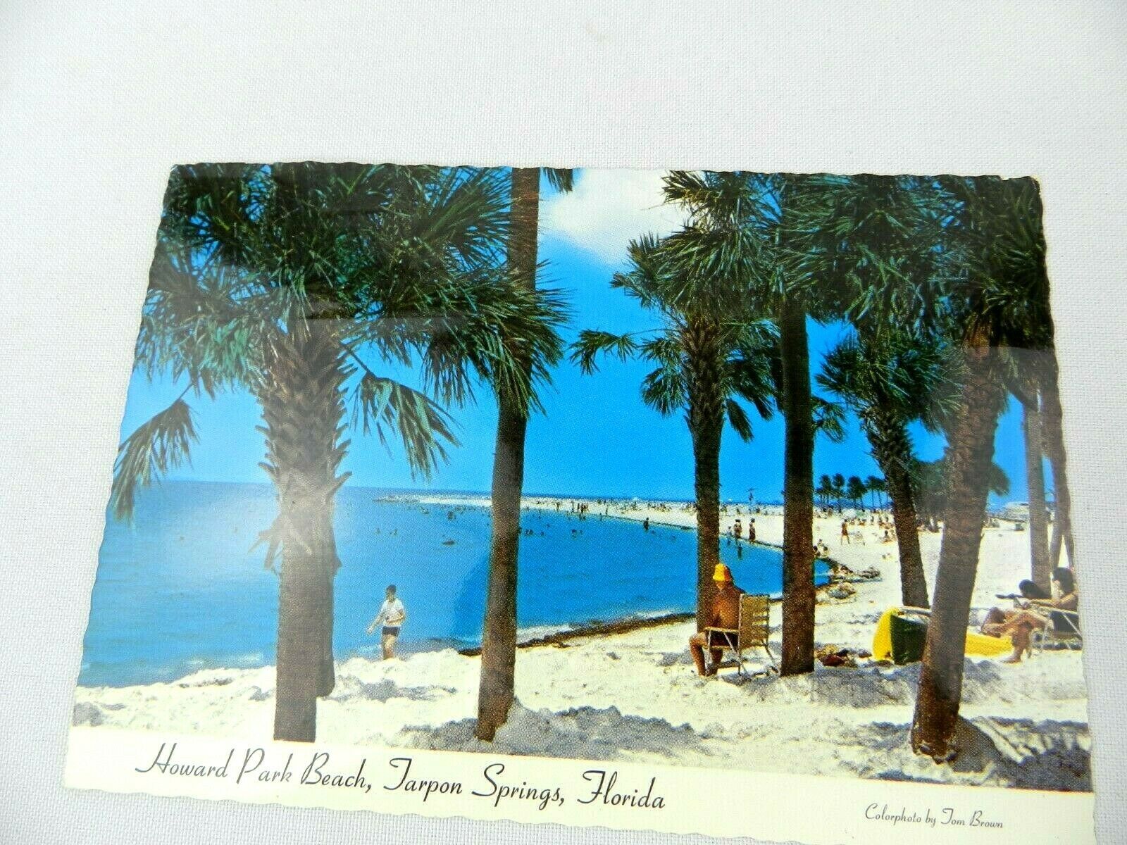 Vintage Postcard Howard Park Beach Tarpon Spring Florida FL Gulf of ...