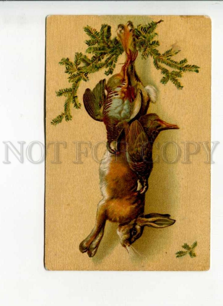 3169549 After HUNT Dead HARE & Birds Pheasant Vintage Color PC | Topics ...