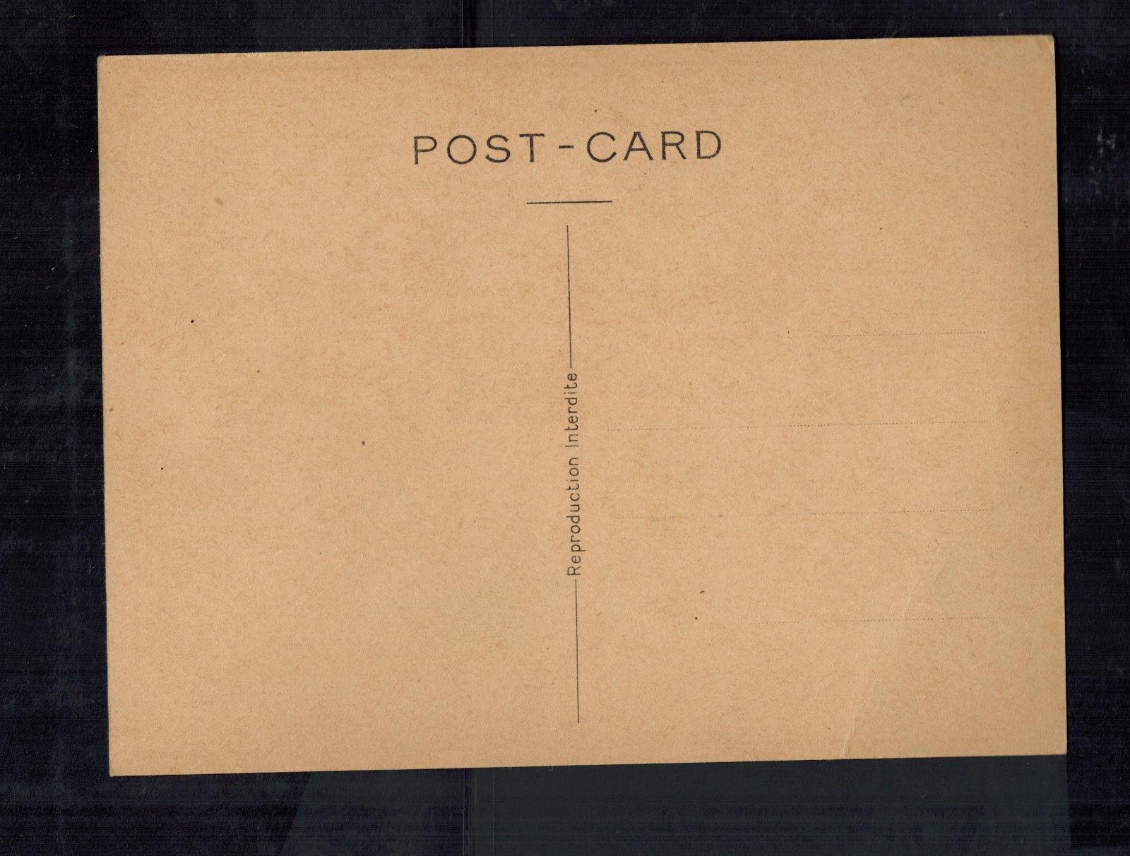 Mint WW2 USSR Soviet Union Postcard Joseph Stalin German Lion Tamer ...