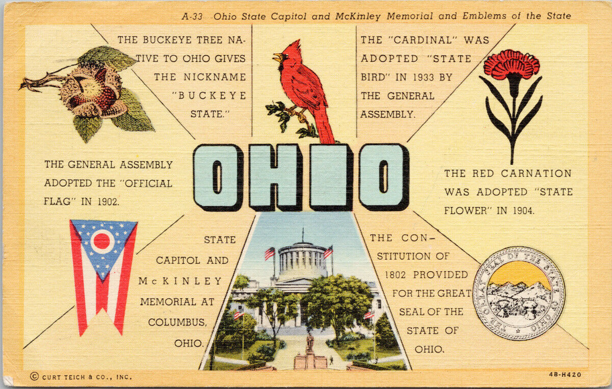 Ohio Large Letter Multiview Red Cardinal Carnation Seal c1950 Linen ...