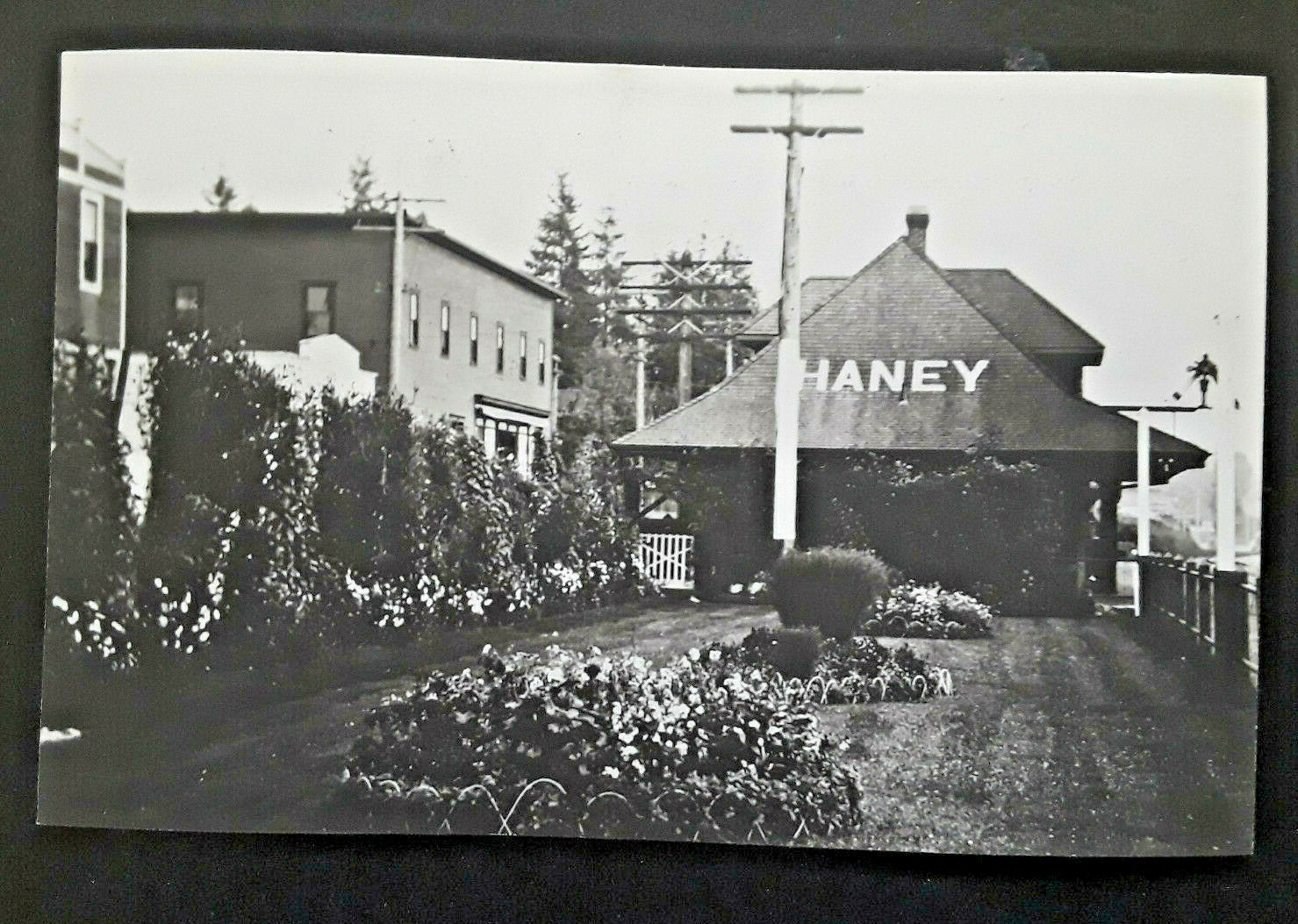 Mint Vintage British Columbia Port Haney Railroad Station Real Photo ...