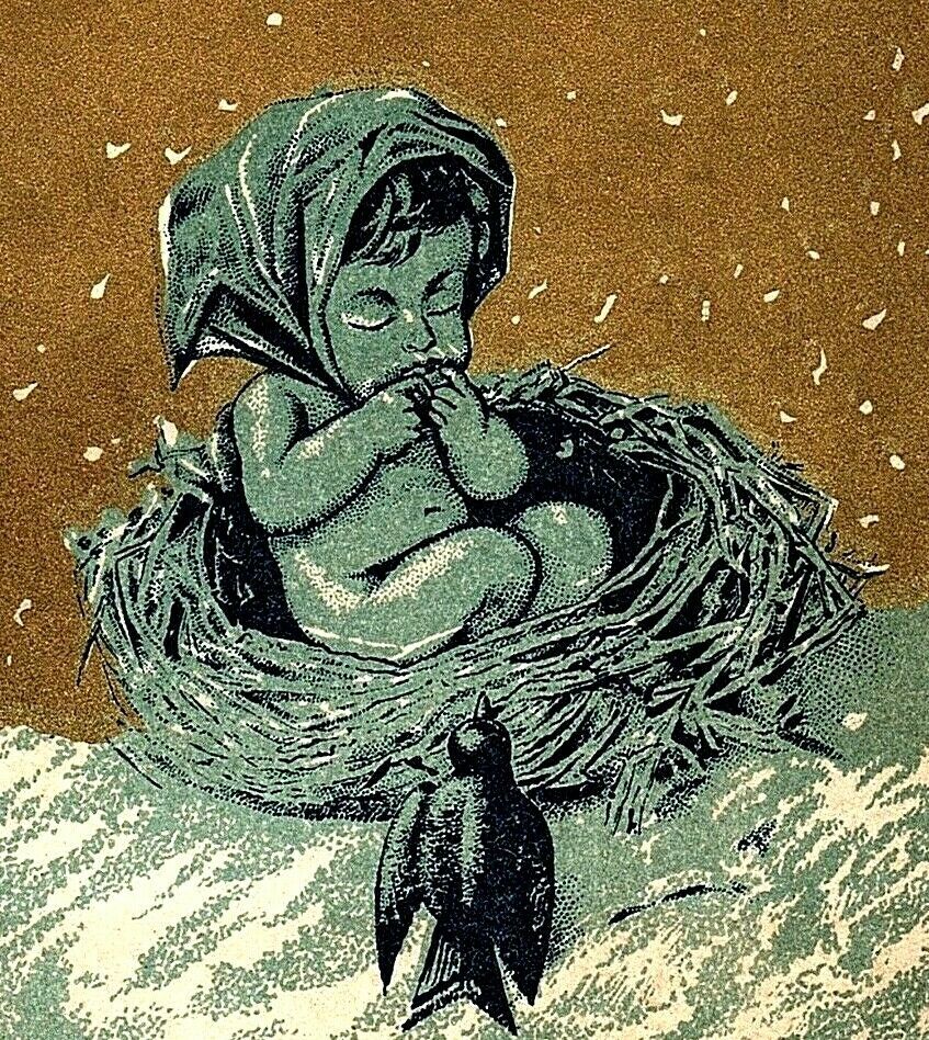 1880's Potter Buckbee & Co. Dress Goods Naked Baby In Bird's Nest ...