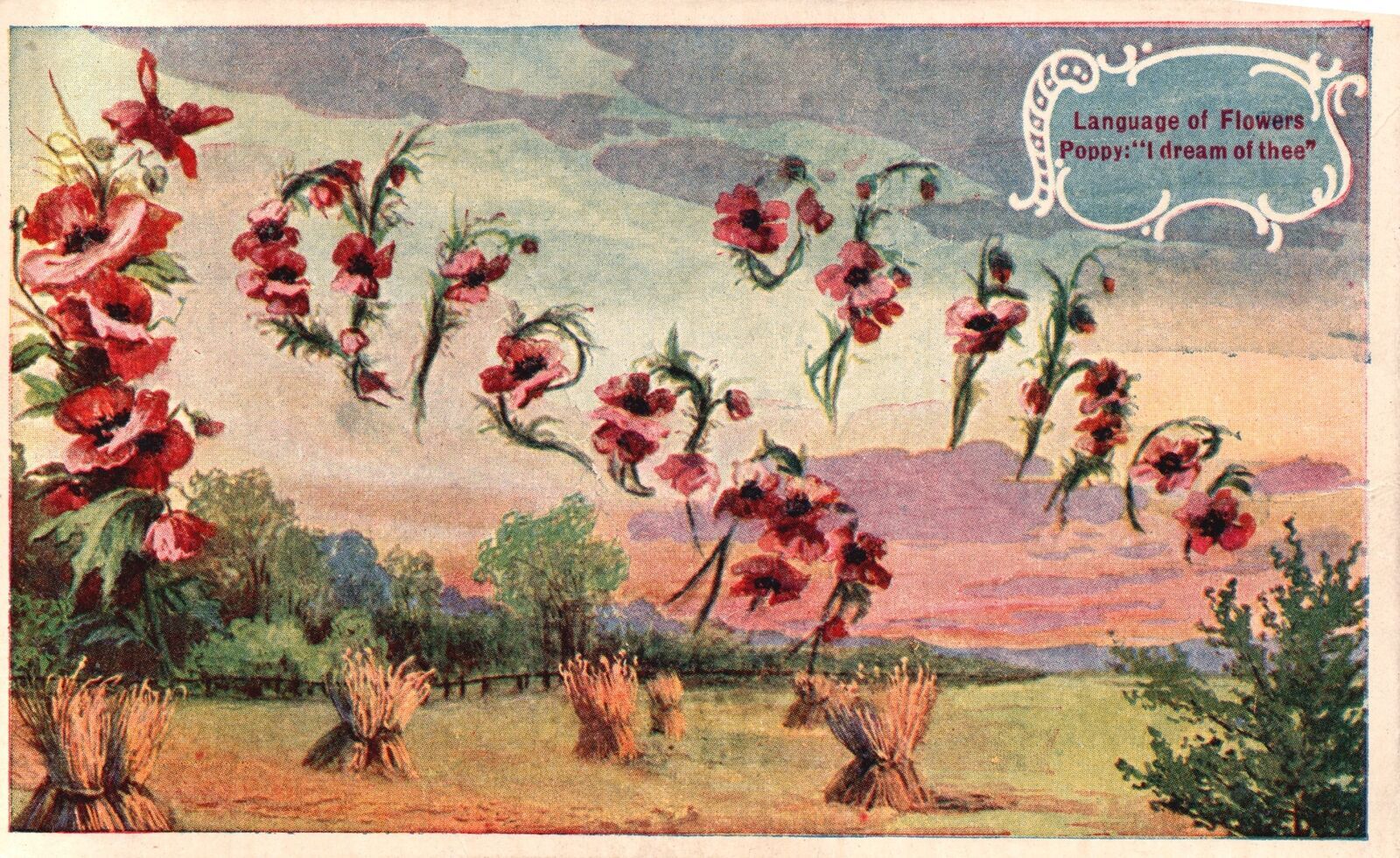 Vintage Postcard 1909 Language of Flowers Floral Blooms Poppy I Dream ...