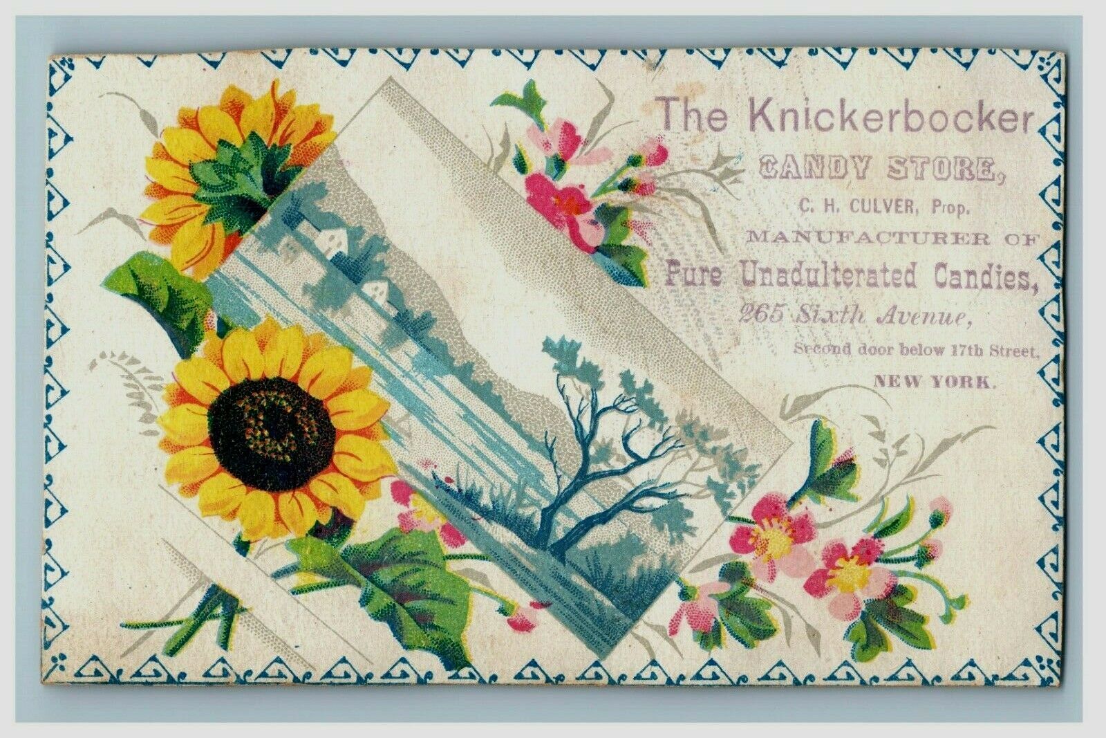 1870s The Knickerbocker Candy Store C.H Culver Prop. Sunflowers Fab ...