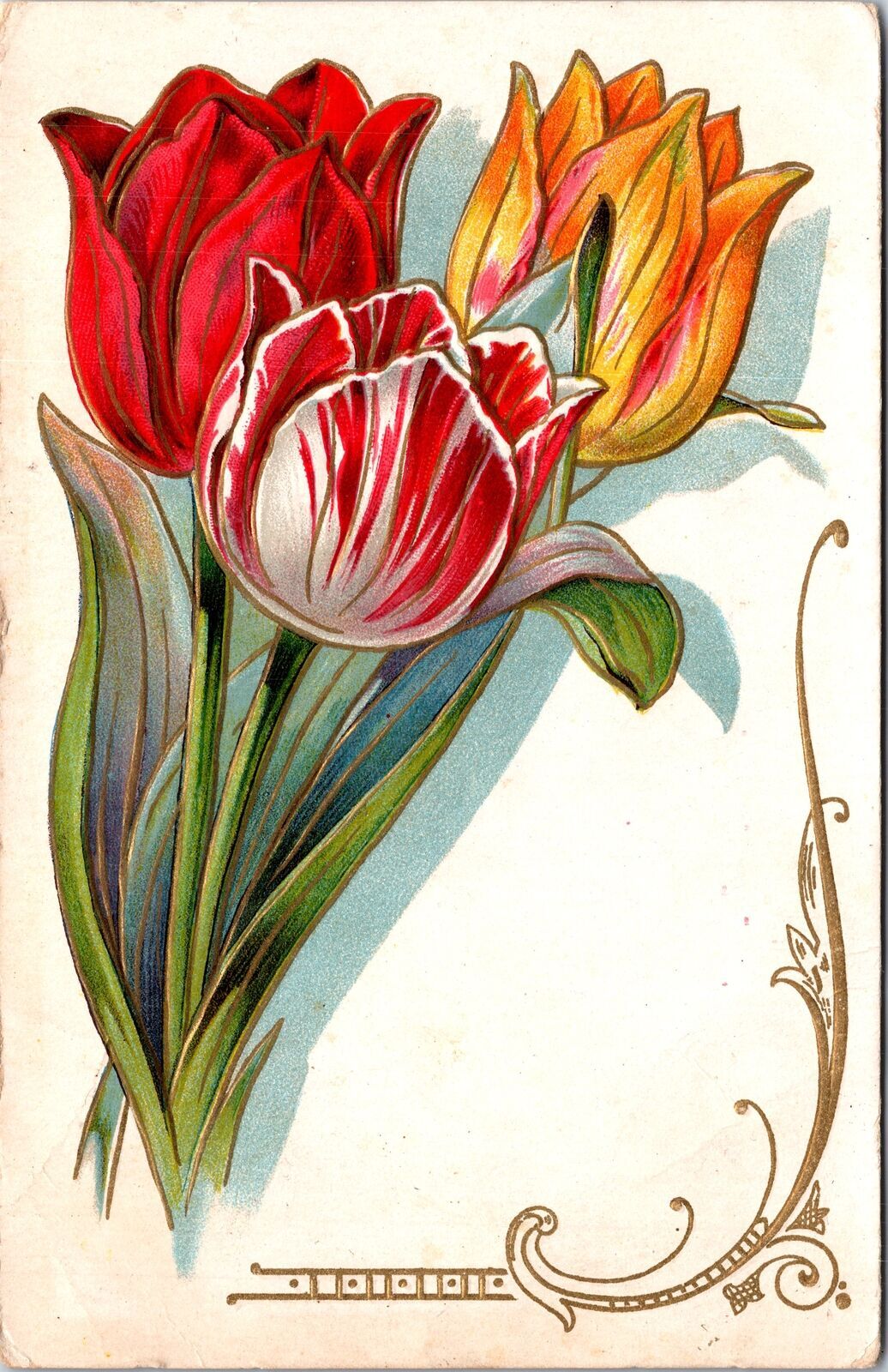 Vintage Postcard Flowers With Exaggerated Gold Edges 1910 Pine Grove ...