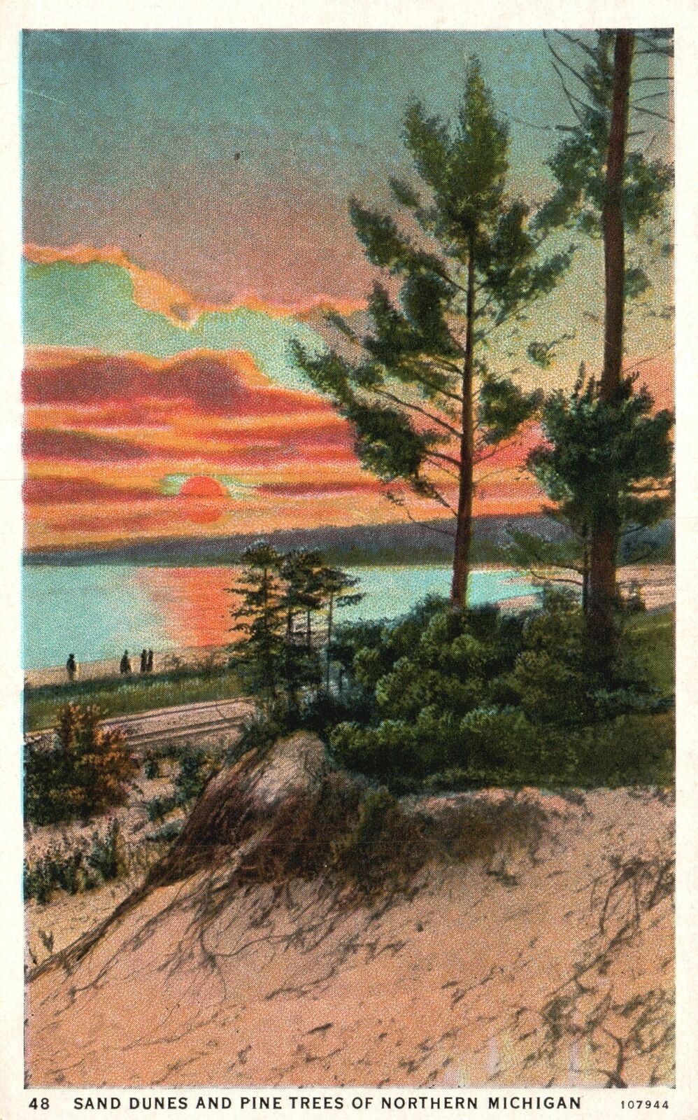 Vintage Postcard 1932 Sand Dunes And Pine Trees Of Northern Michigan ...