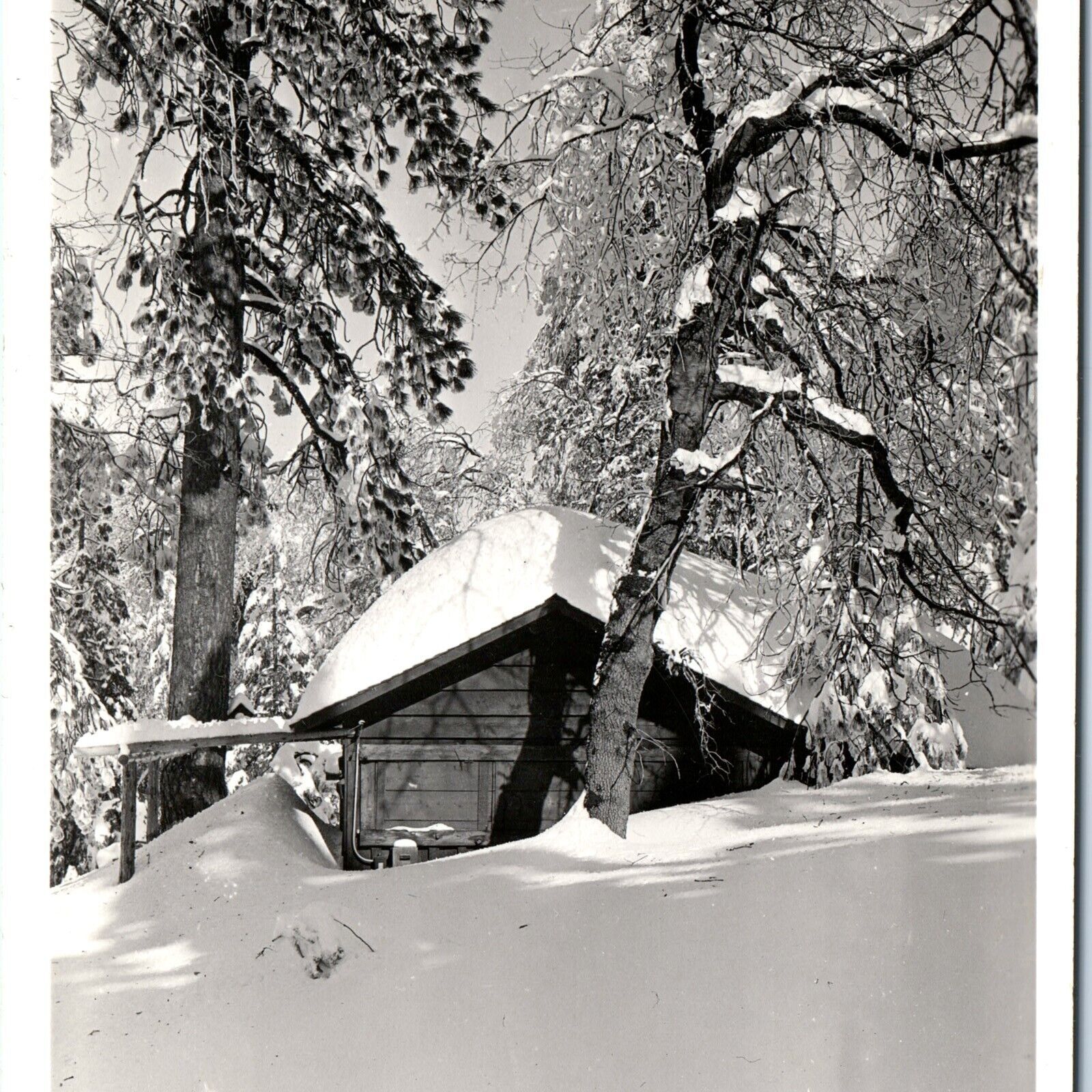 c1930s Extreme Snow Storm RPPC Cabin House Buried Real Photo Postcard ...