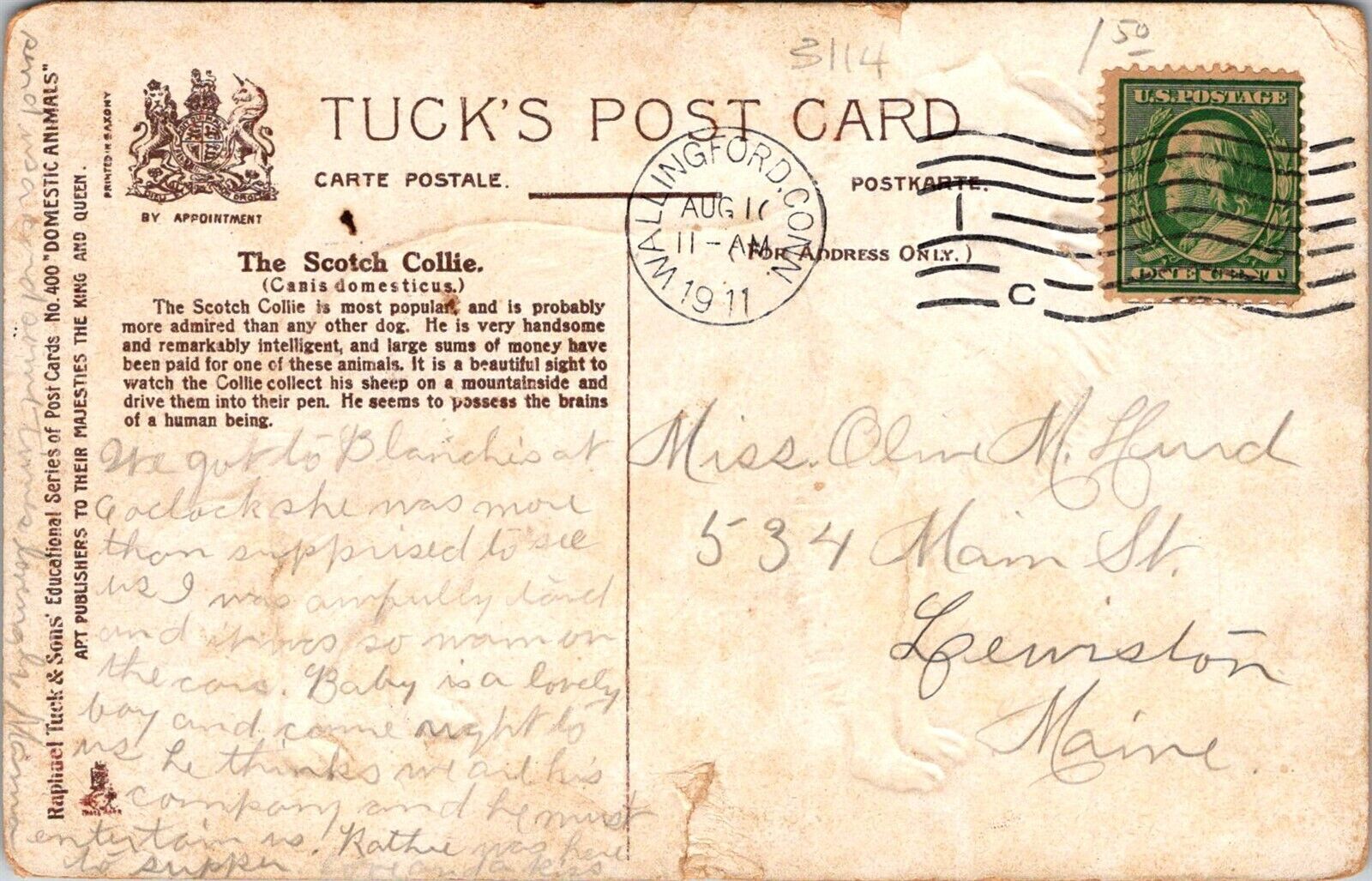 The Scotch Collie Dog, Tucks 400 Domestic Animals Vintage Postcard X52 ...