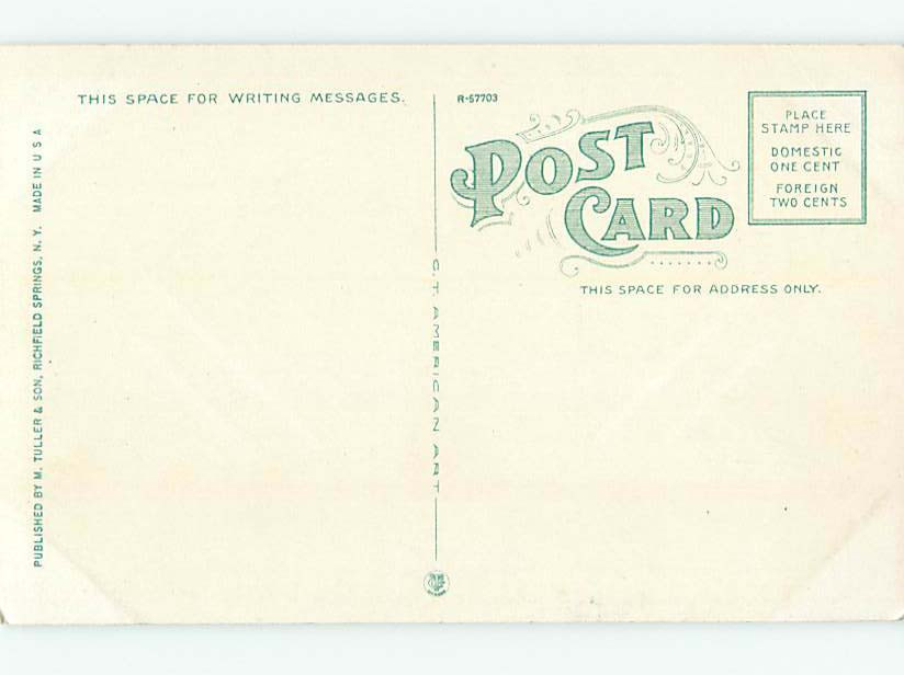 W-border LIBRARY SCENE Richfield Springs - Near Copperstown & Herkimer ...