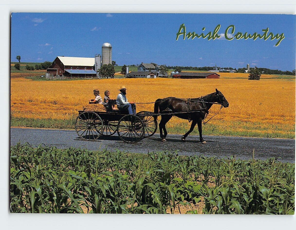 Postcard A typical Amish farm scene, Amish Country, Pennsylvania ...