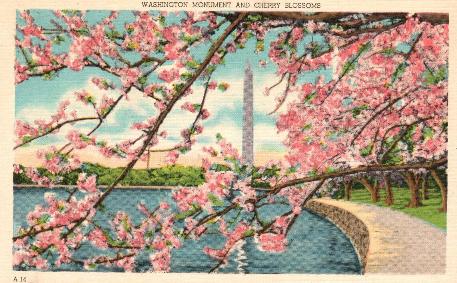 Vintage Postcard 1930's View of Washington Monument and Cherry Blossoms ...