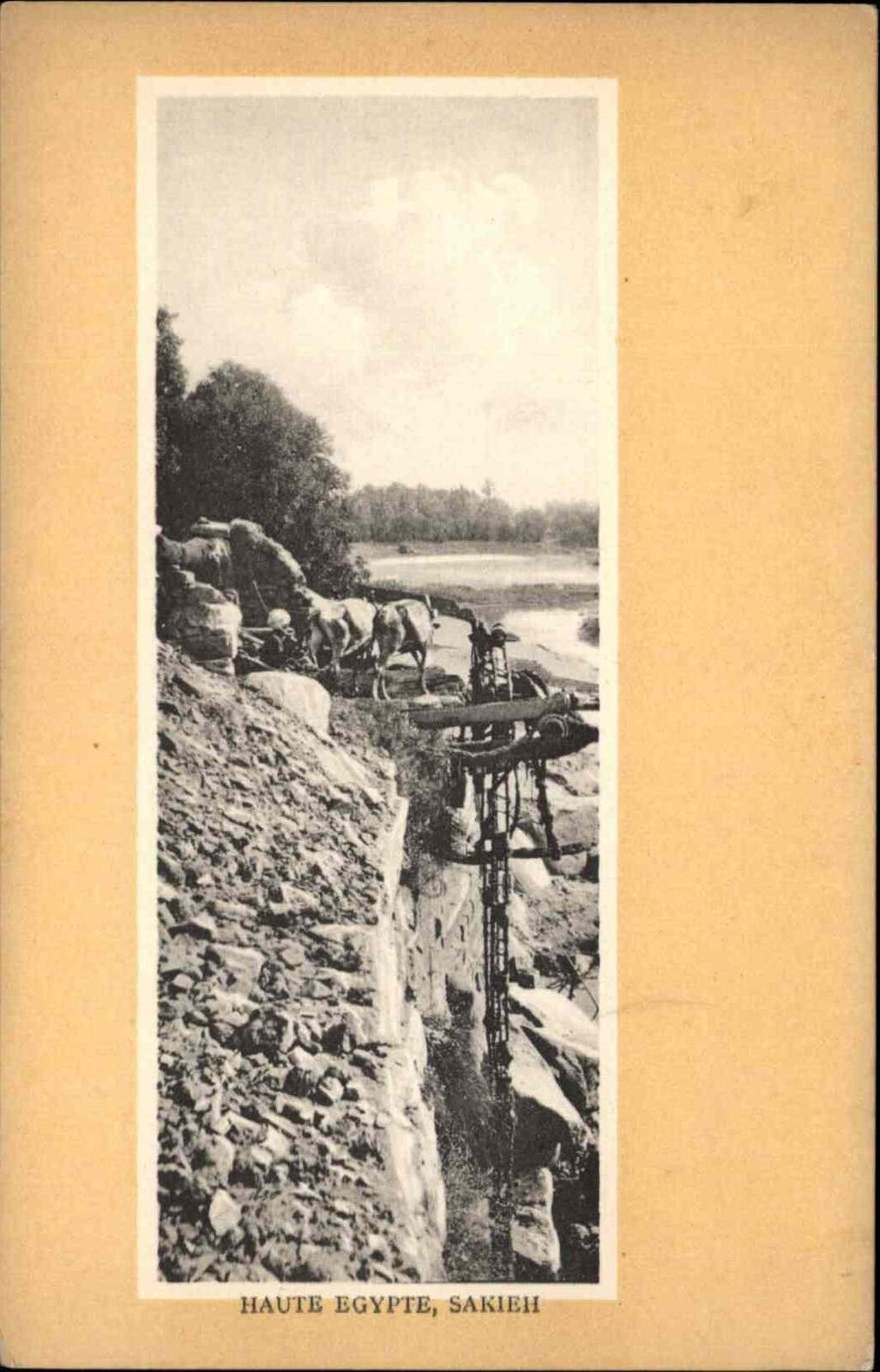 Haute Egypte Egypt Sakieh Water Wheel Man with Goats c1910 Vintage ...