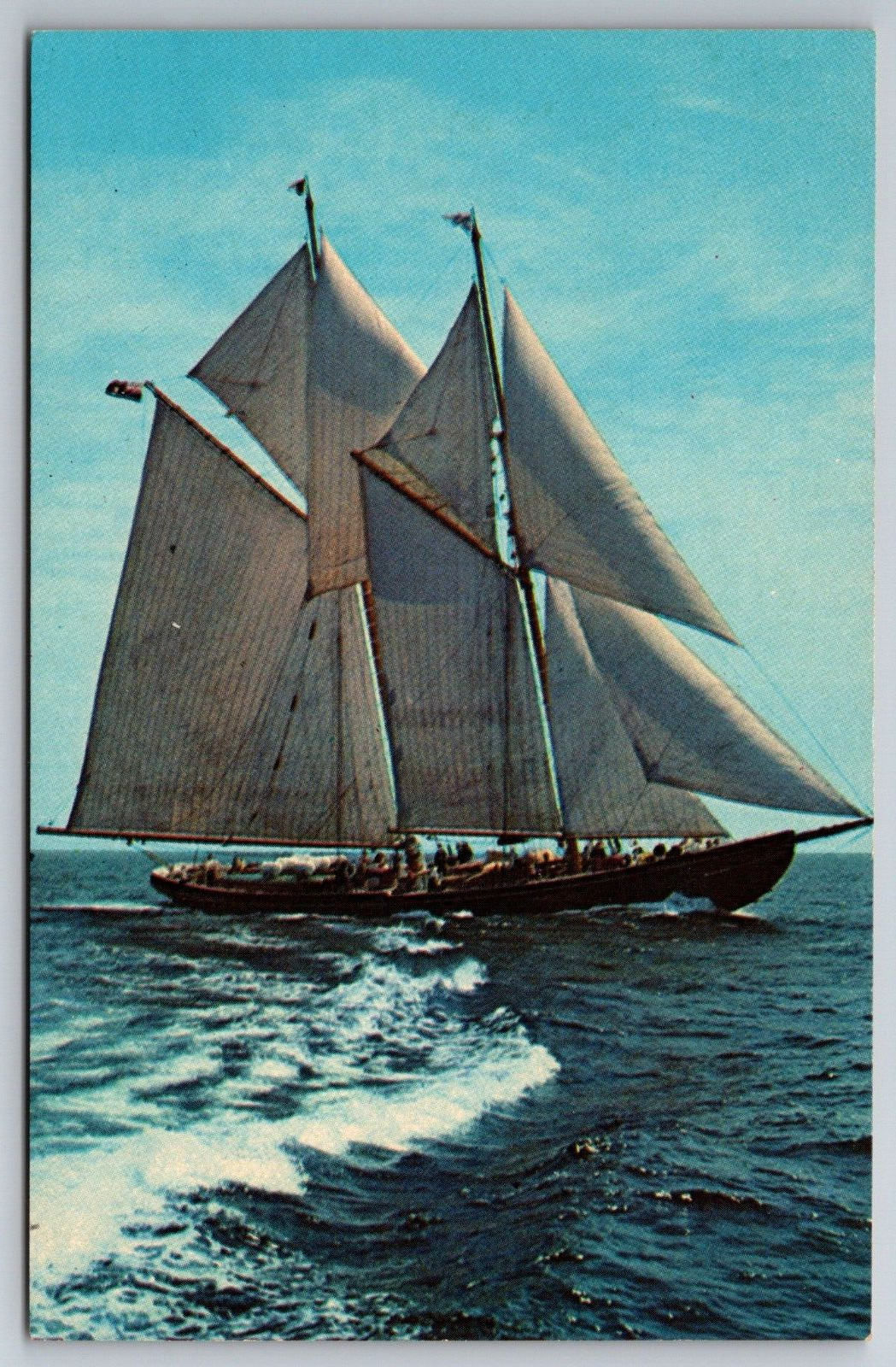 C1960 The Sailing Schooner Bluenose II Nova Scotia CAN Postcard ...