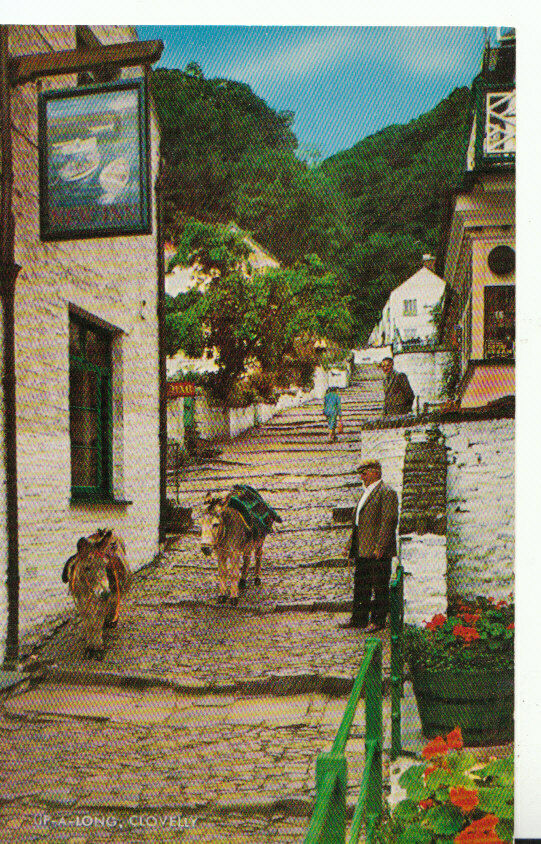 Devon Postcard - Up-a-Long - Clovelly - Ref TZ1327 | Europe - United ...