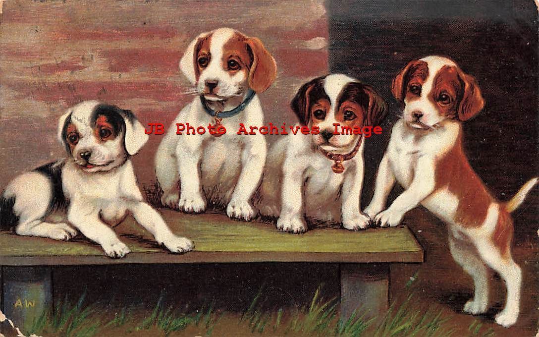 Signed AW, Tuck No 917 P, Puppies, Dogs, French Postcard Back | Europe ...