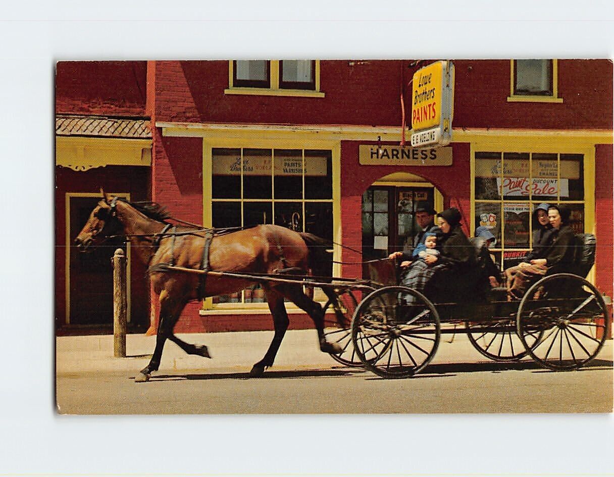 Postcard Mennonite family, a common Main street scene, St. Jacobs ...