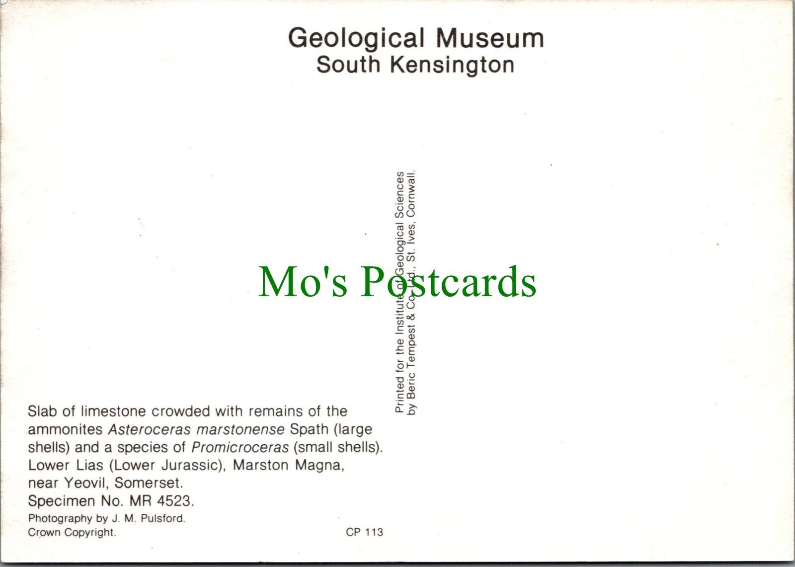 Geological Museum Postcard - Slab of Limestone Lower Jurrasic RR19157 ...