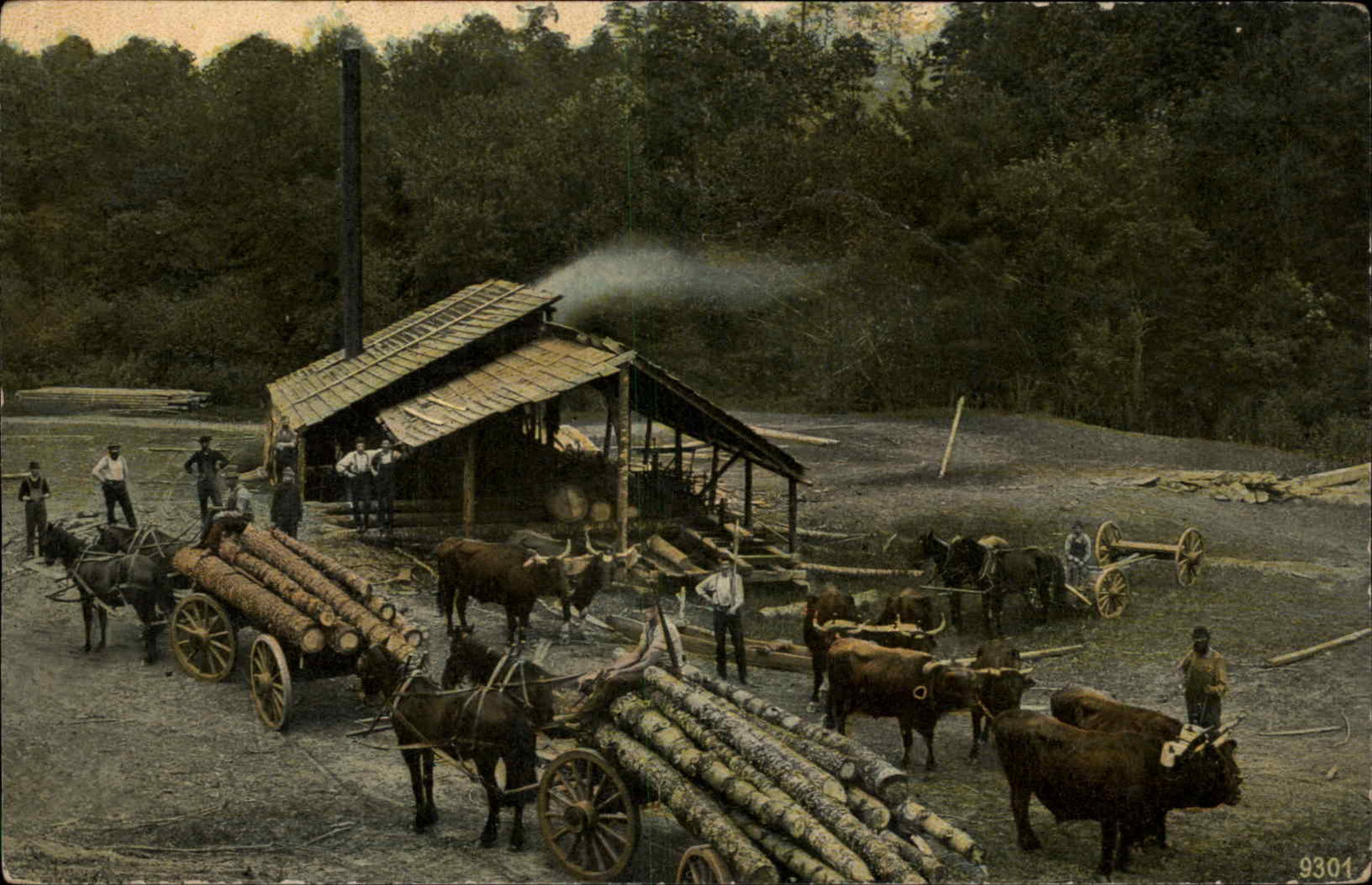 Logging Scene Horse Carts c1900s-20s Vintage Postcard | Other ...