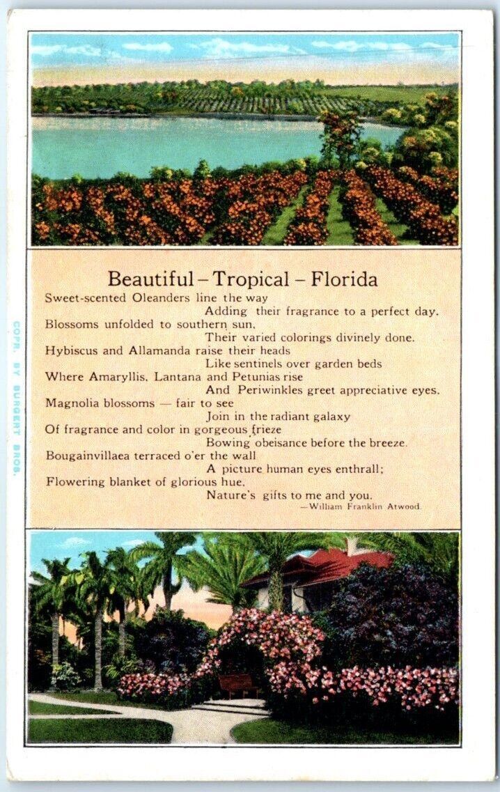 Postcard - Poem by William Franklin Arwood - Beautiful Tropical Florida ...