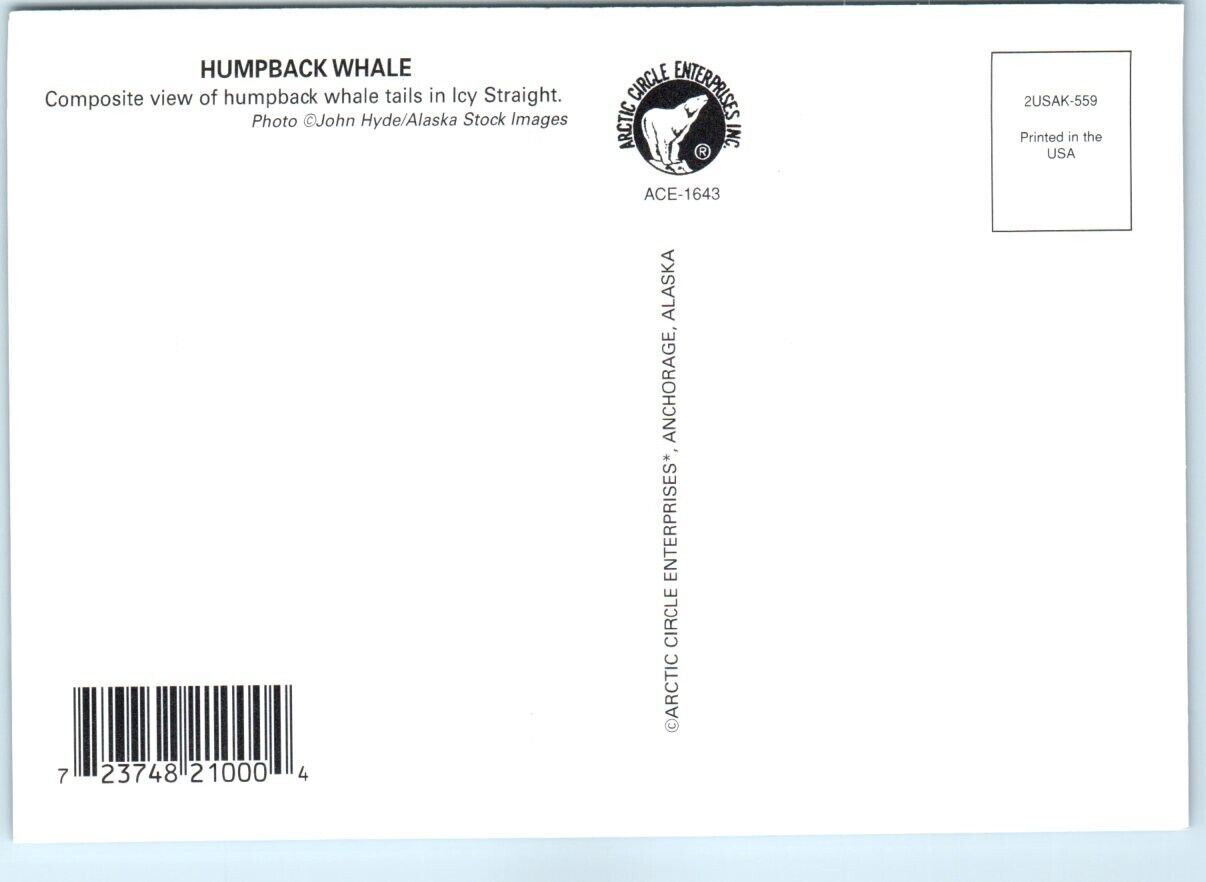 Postcard - Composite view of humpback whale, Icy Strait - Alaska ...