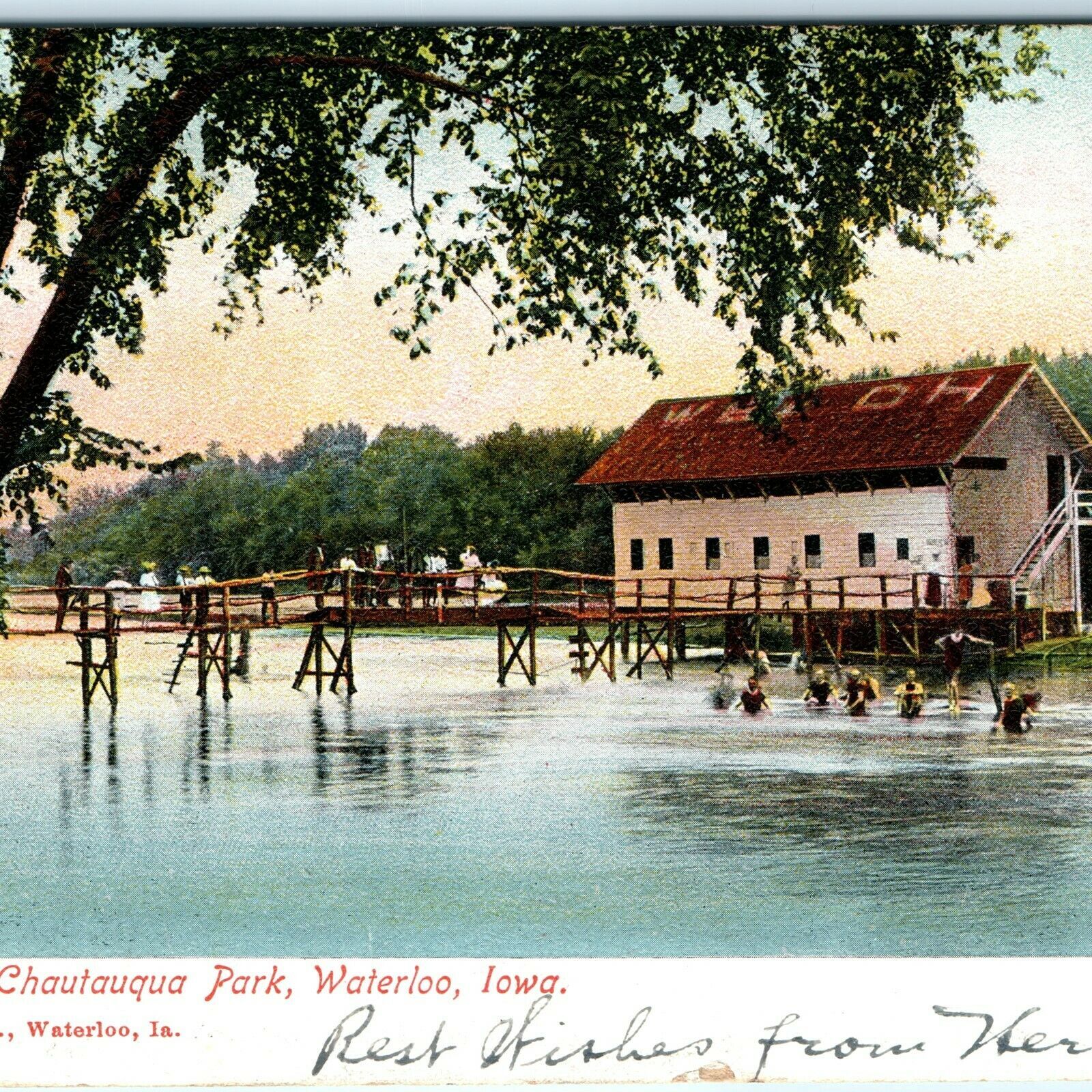 1907 Waterloo, IA Chautauqua Park Bath House Litho Photo Swim Cedar ...