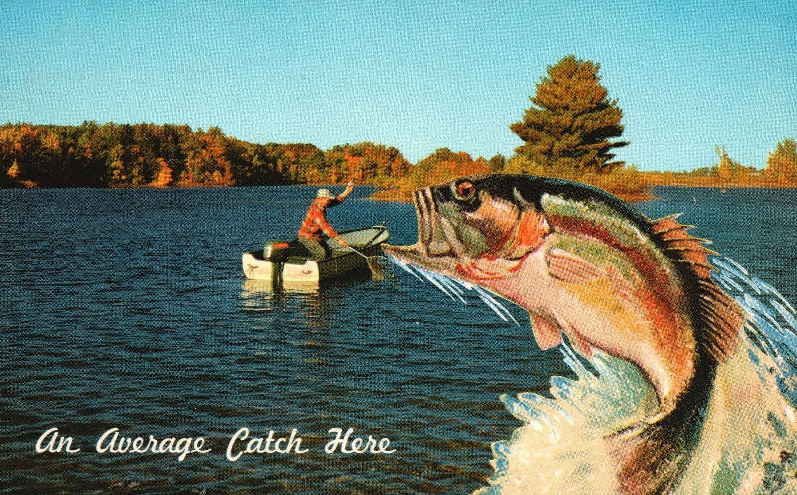 Vintage Postcard 1976 An Average Catch Here! Big Fish Fisherman Water ...