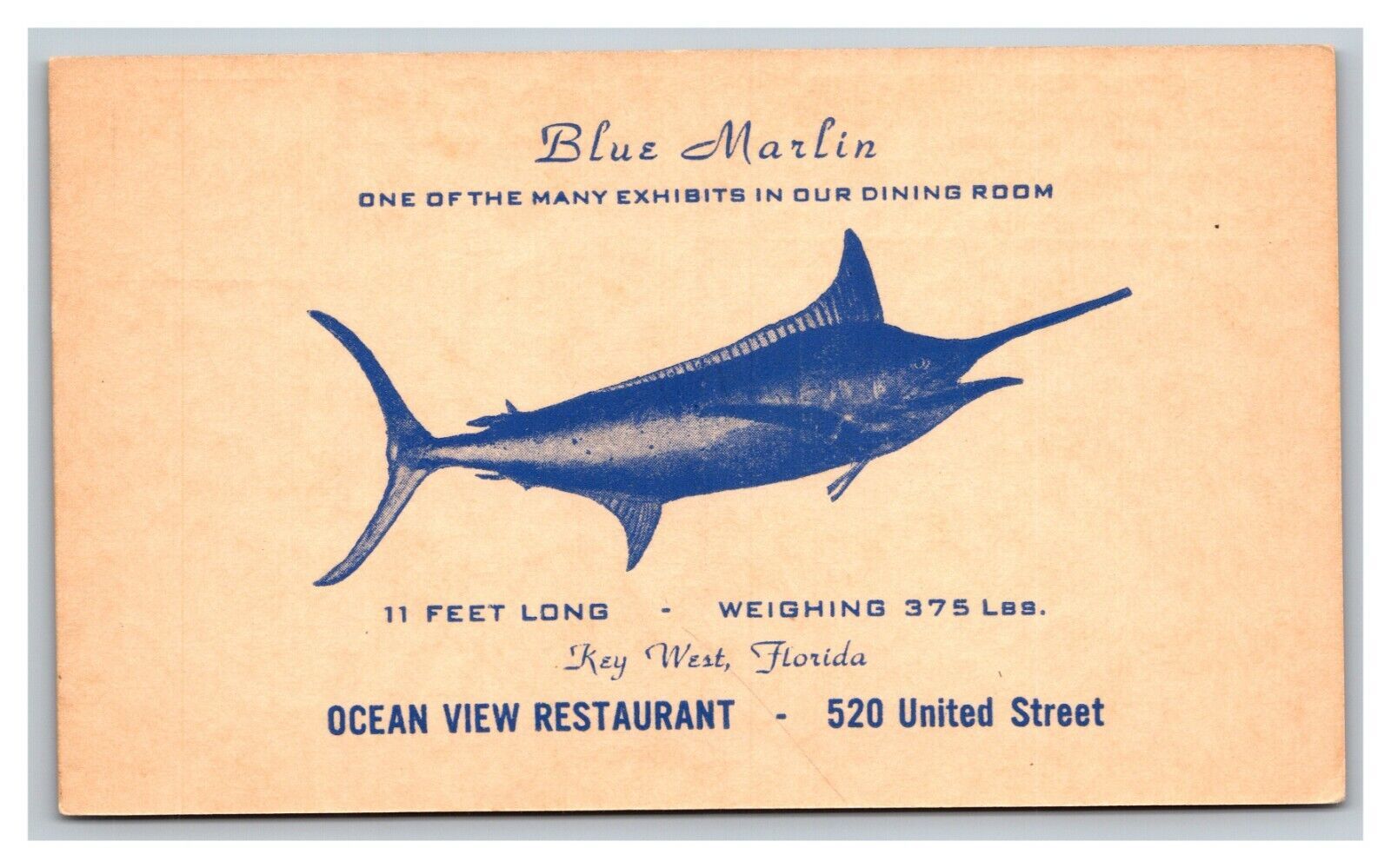 Vintage 1950's Postcard Blue Marlin at Ocean View Restaurant Key West ...