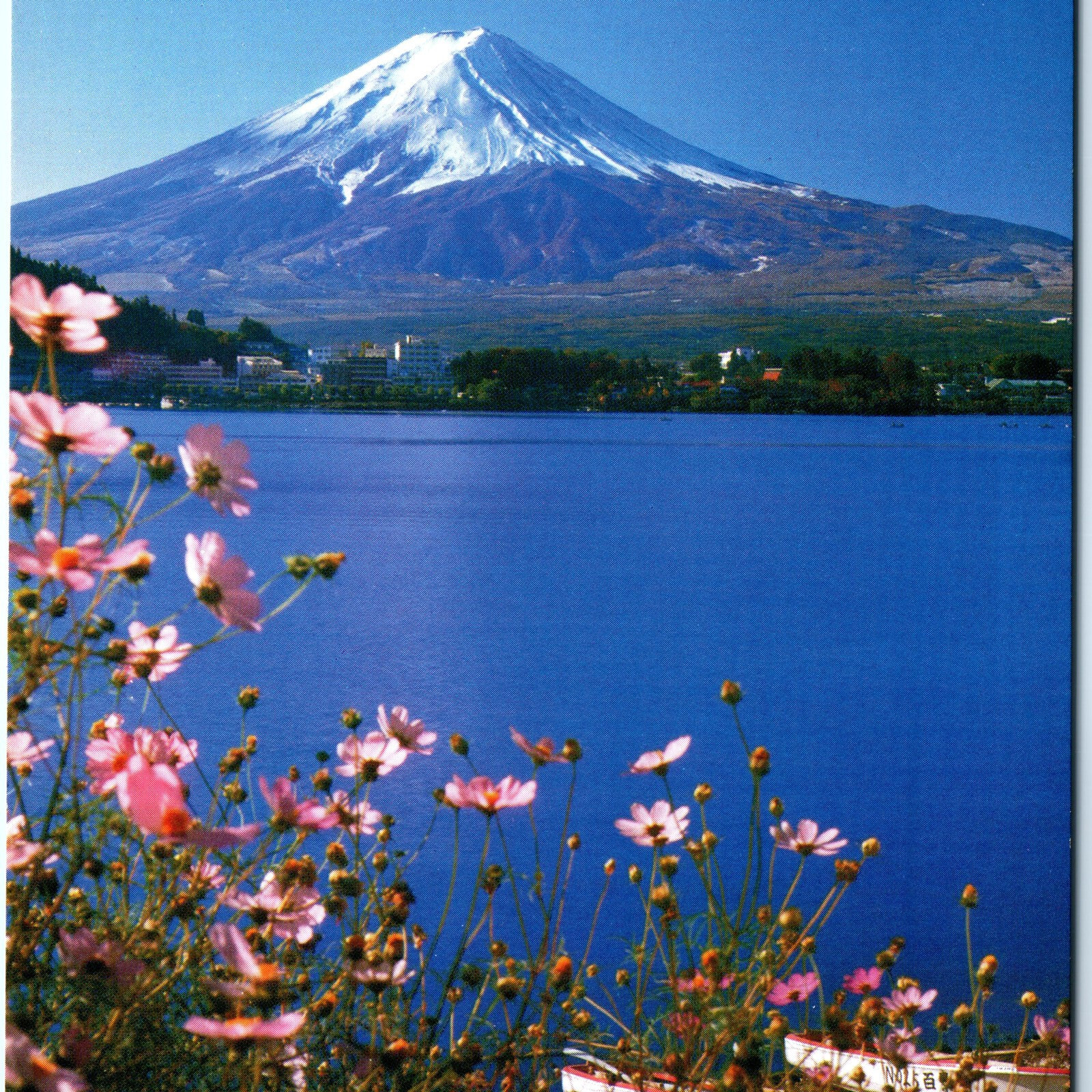 c1980s Mount Fuji, Japan Volcano Lake Pink Flowers Map Nippon Chrome ...