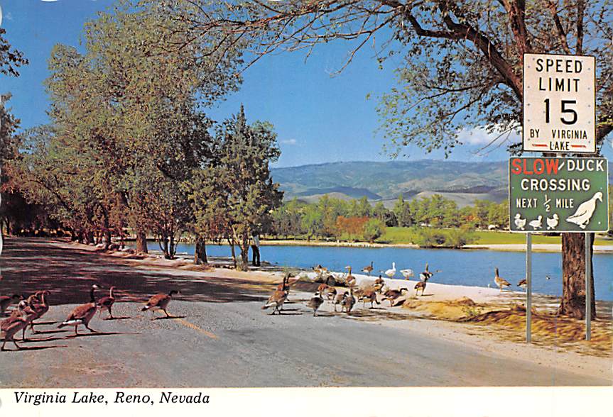 Virginia Lake - Reno, Nevada | United States - Nevada - Reno, Postcard ...