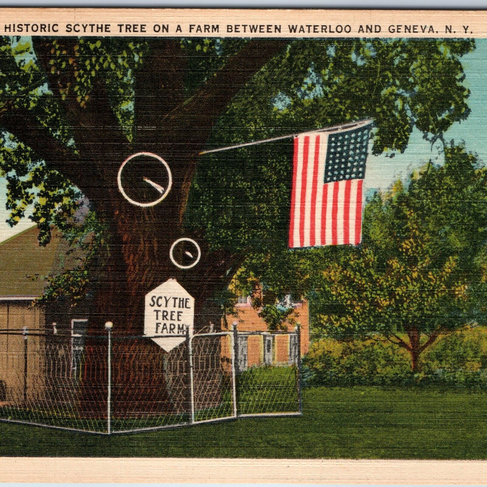 c1940s Waterloo - Geneva, NY Historic Scythe Tree Farm Fence US Flag ...