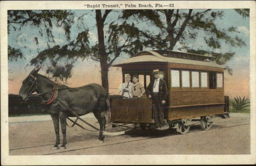 Palm Beach FL Rapid Transit Mule Drawn Trolley c1920 Postcard jrf ...