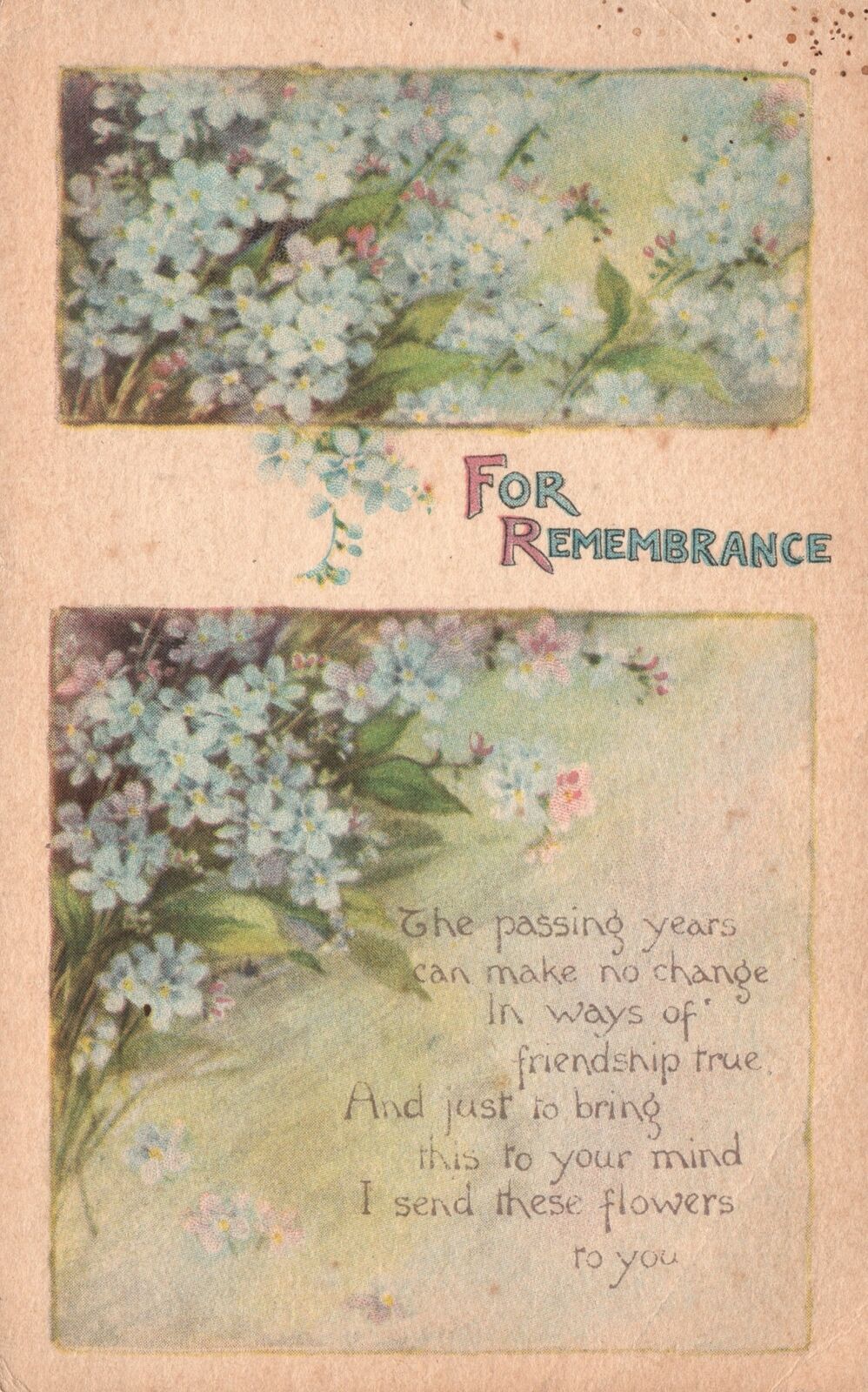 Vintage Postcard 1914 For Remembrance Of True Friendship Flower Card ...