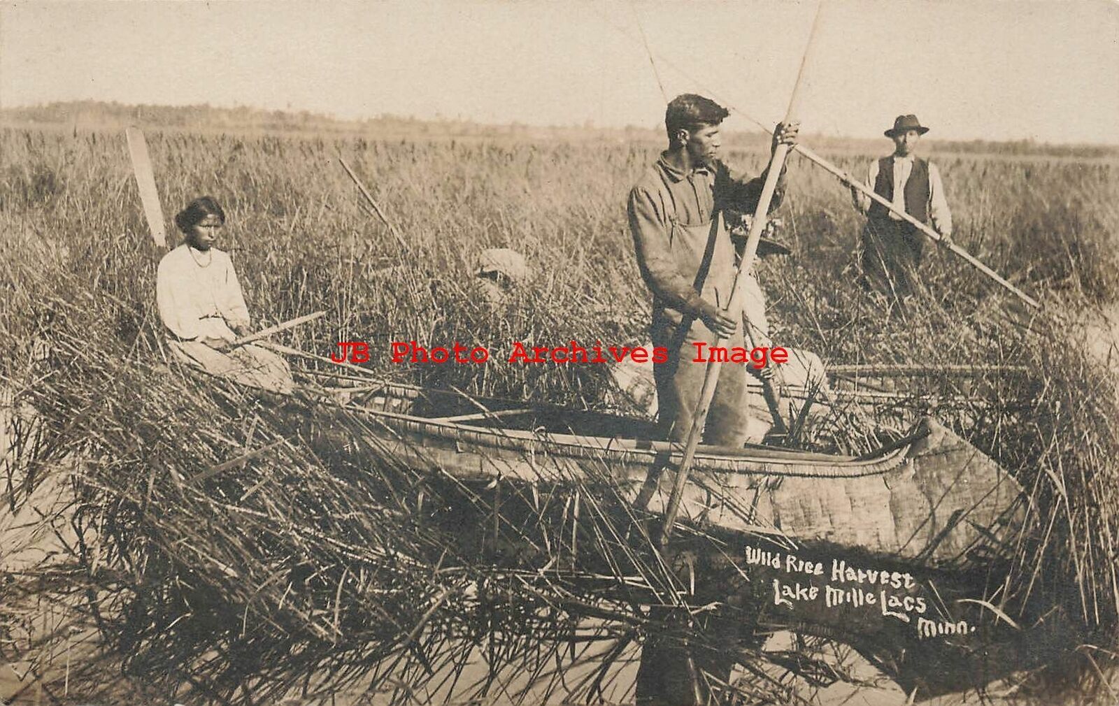 Native American Ojibwe Indians, RPPC, Wild Rice Harvest Lake Mille Lacs ...