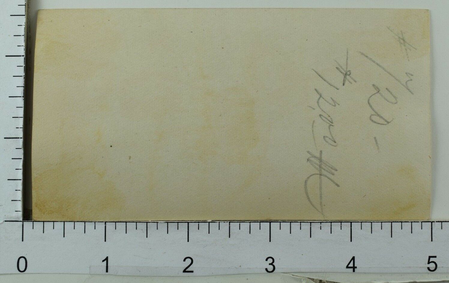 1870's-80's Fabulous Fairy Butterfly Fantasy Gilt Vivid Victorian Trade ...